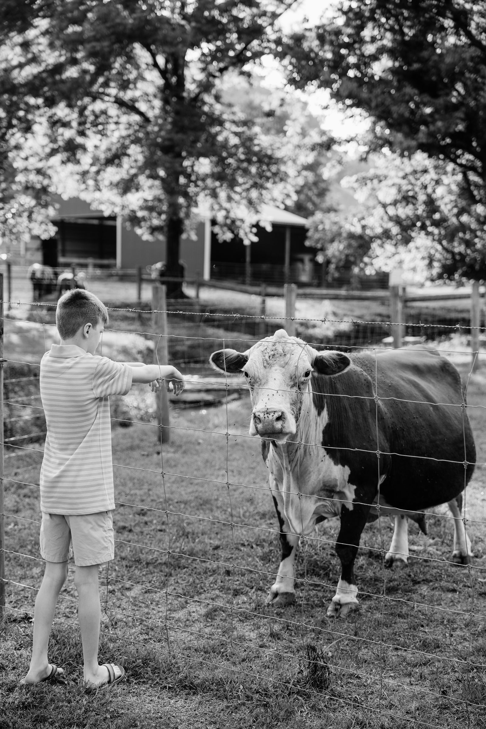 Kerri Groce-Thomas - Family by Freeman & Co. Photography