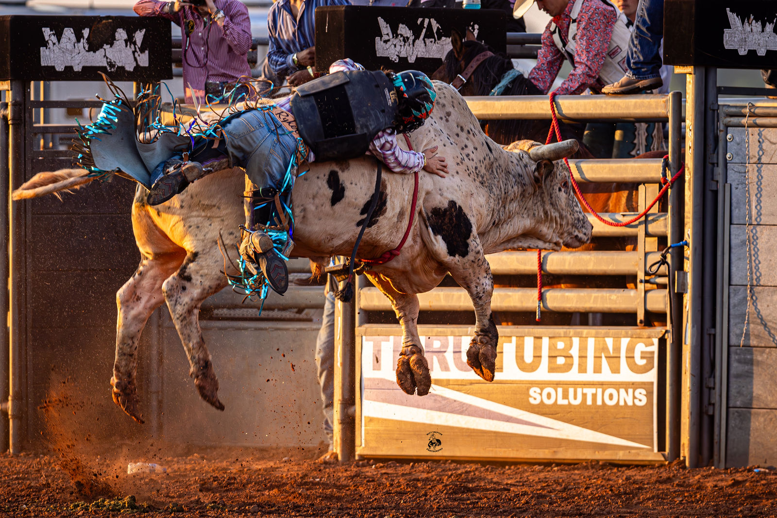 (Sat) Purcell IPRA Bulls, Broncs, & Barrels by Matt Treptow Photography
