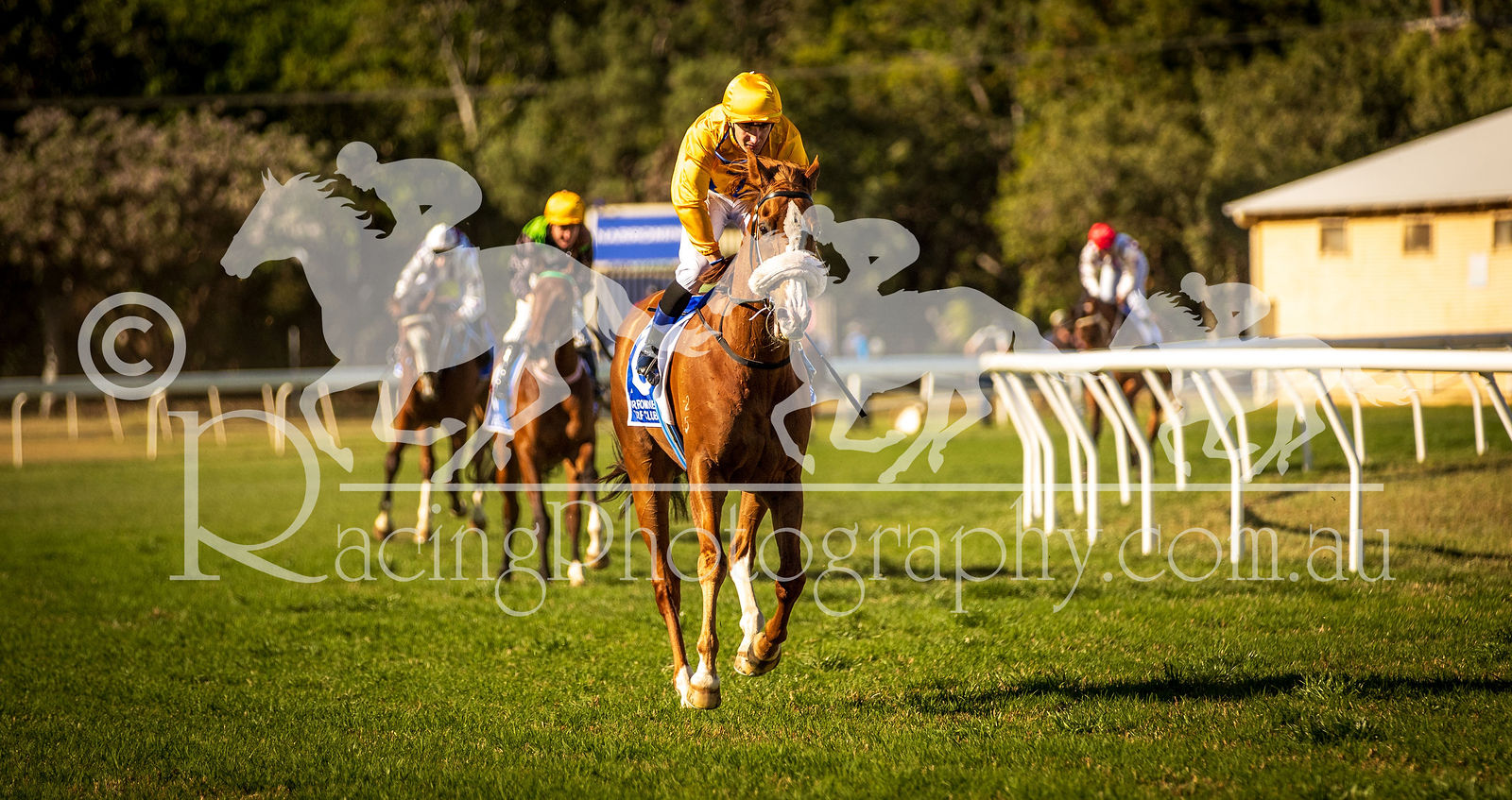Xtra Pics - Danish Hussar, Clayton Gallagher / Allan McRae by ...