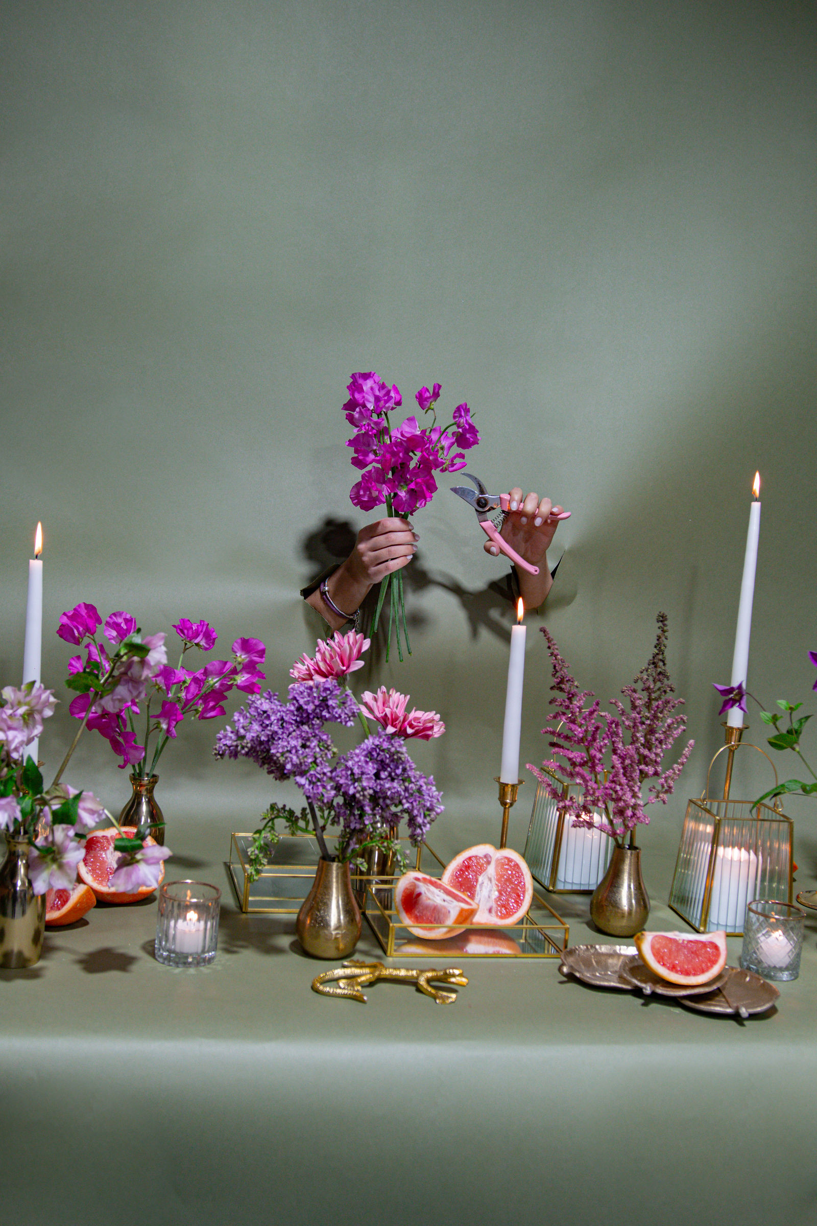 CSNY Design by Lucia Vaccaro Photography