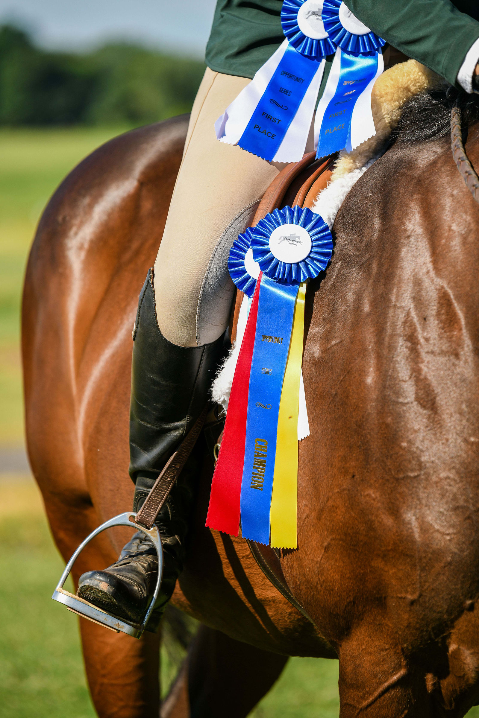 Opportunity Series July 2022 by Jordan Testa Photography