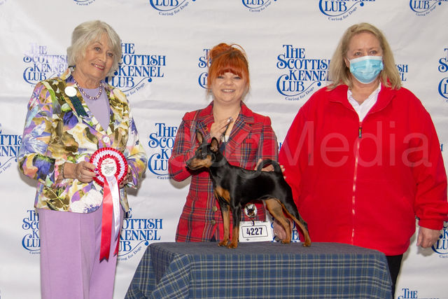 Scottish Kennel Club General Championship Show May 2022