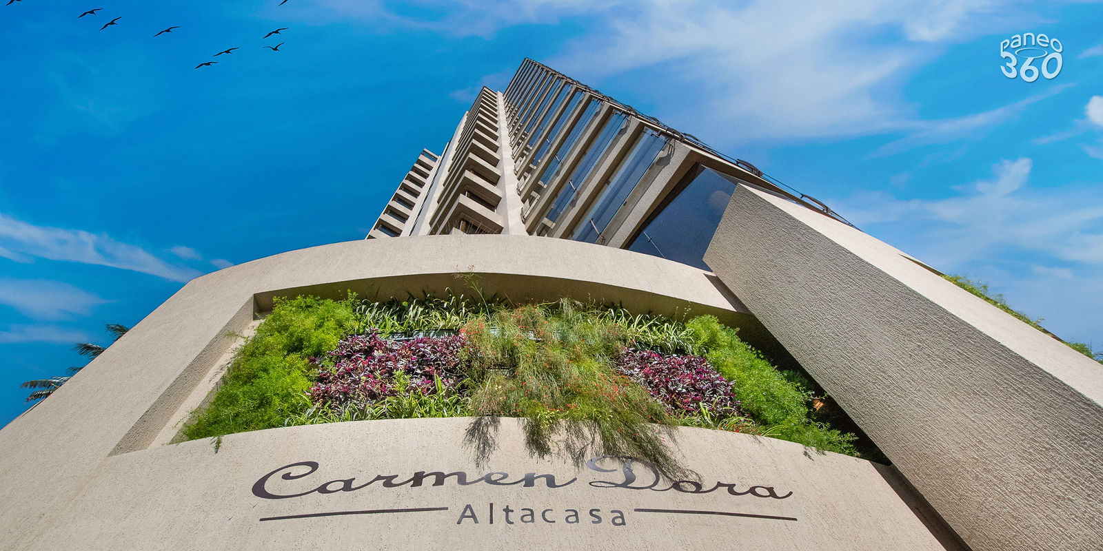 EDIFICIO CARMEN DORA by Paneo360