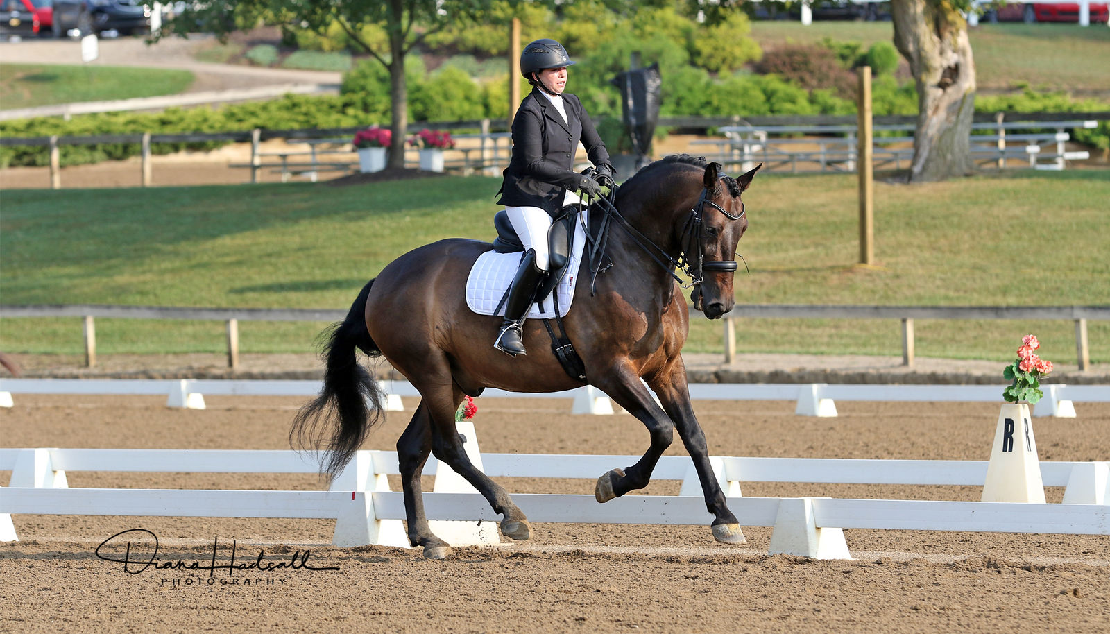 Waterloo Dressage 7-14-23 by Diana Hadsall Photography