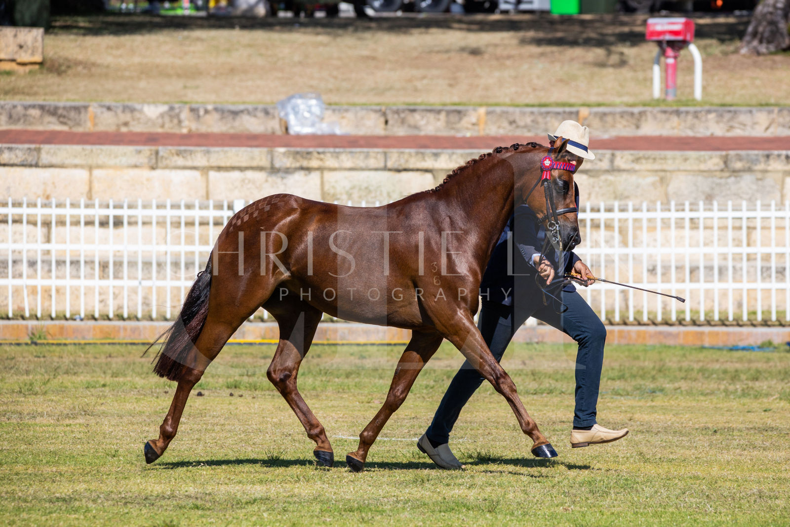 Perth Royal Show - WEDNESDAY by Christie Lyn Photography