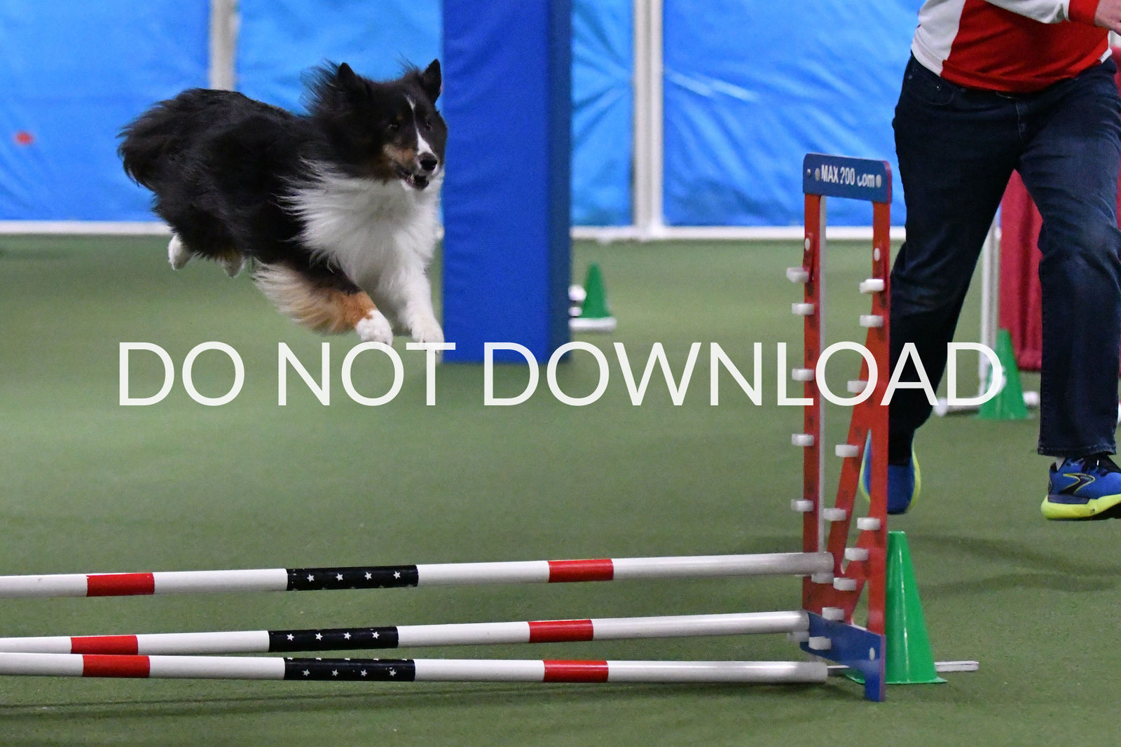 WAG/CPE Agility Trial - Colors by In The Moment Photography