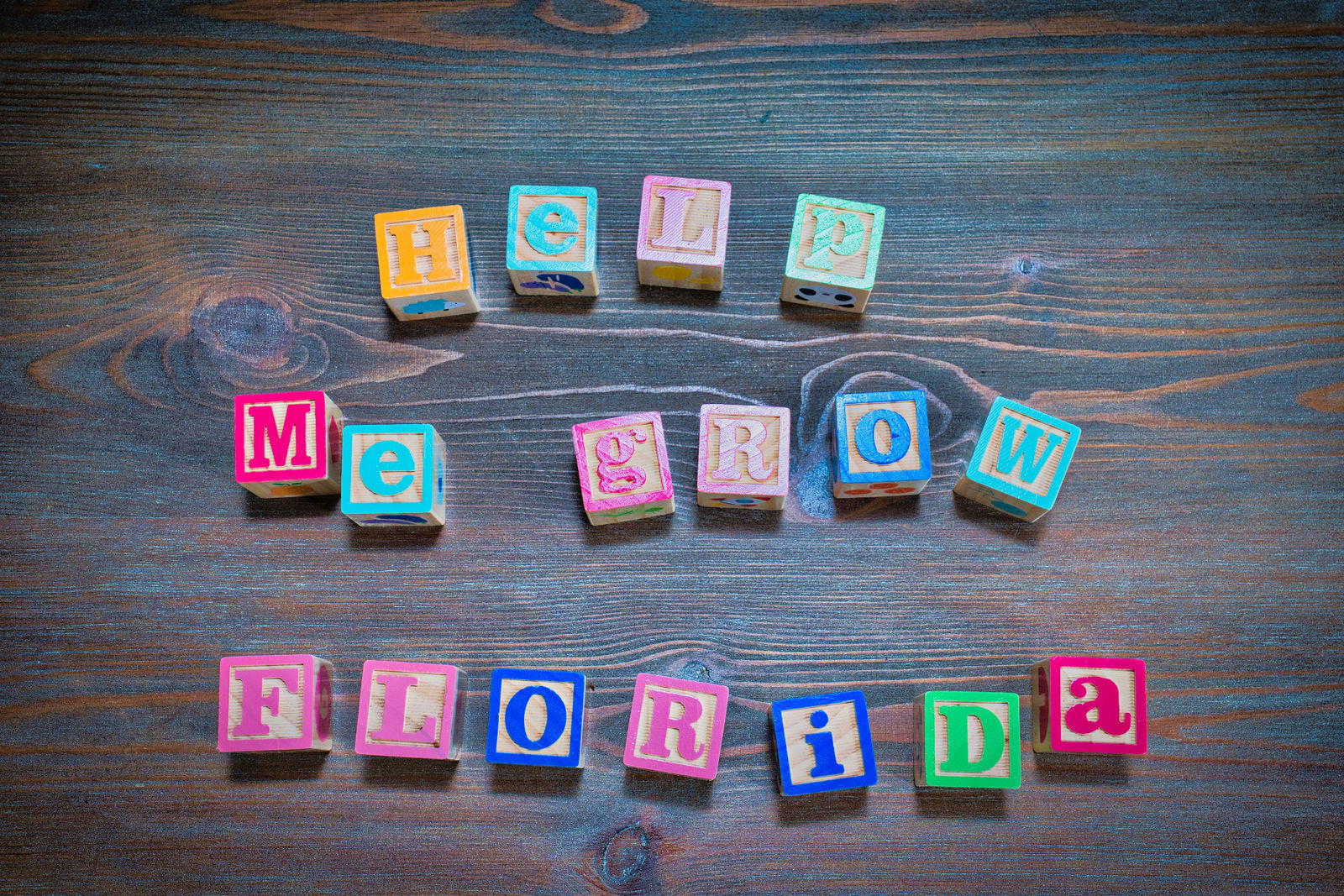 Help Me Grow Florida by FOMO Photography