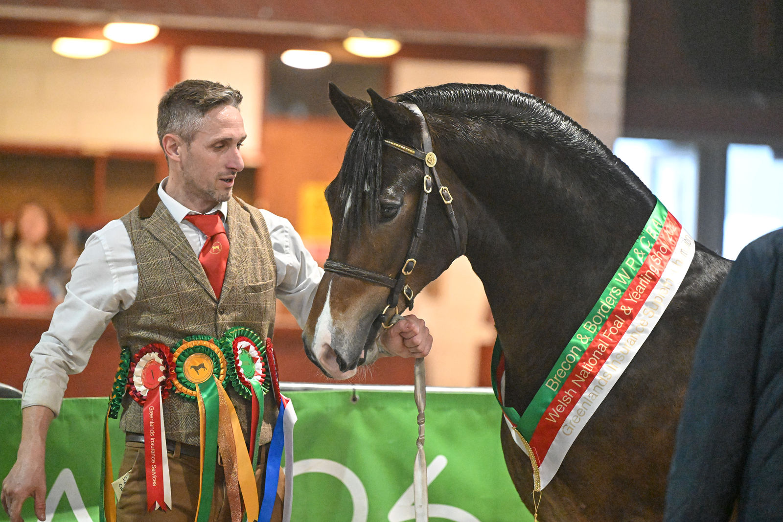 Welsh National Foal & Yearling Show 2024 by EquinePix Photography