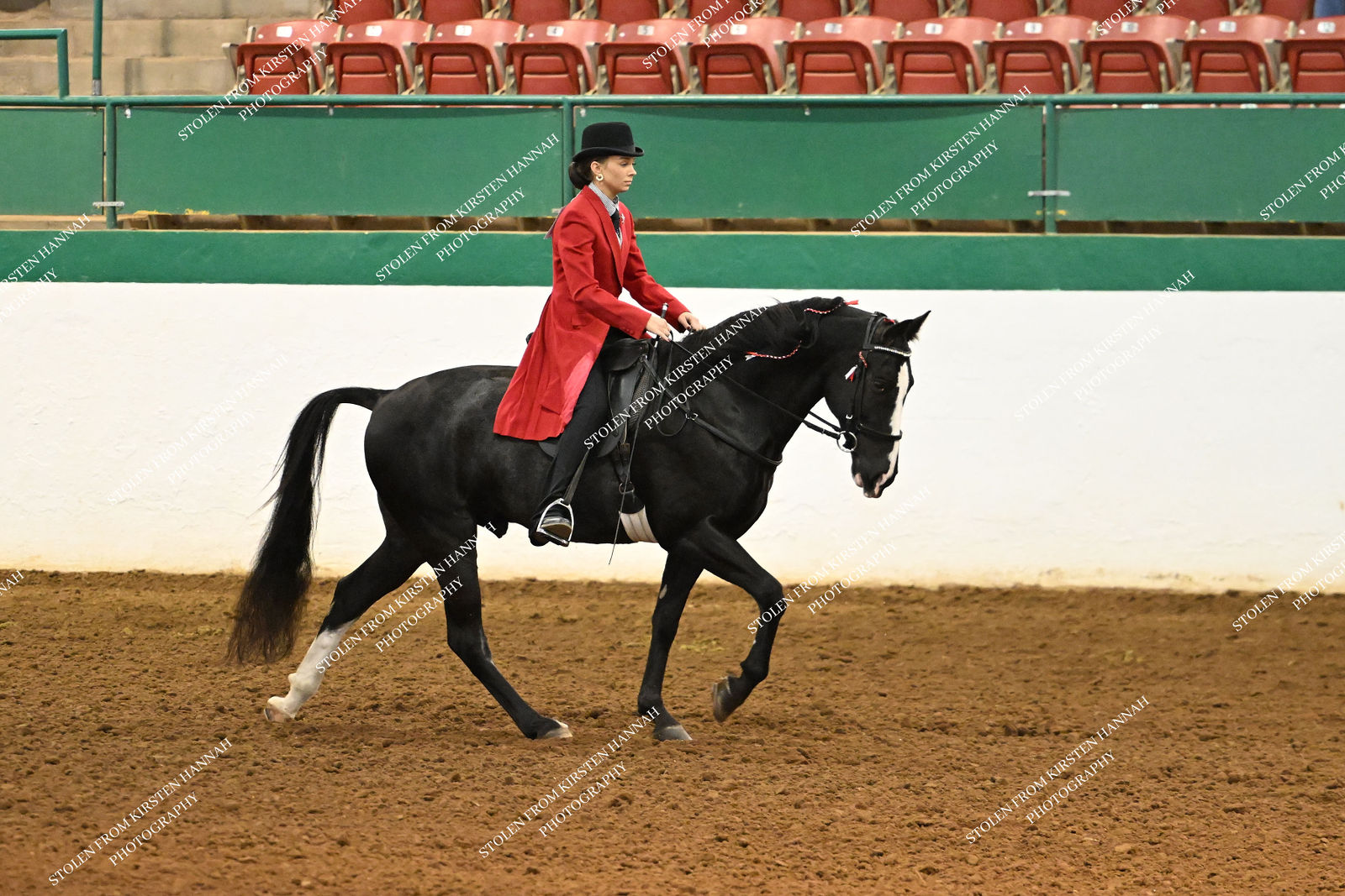 NC State Fair 2024: Gaited Horse Show & Extreme Trail by Kirsten Hannah ...