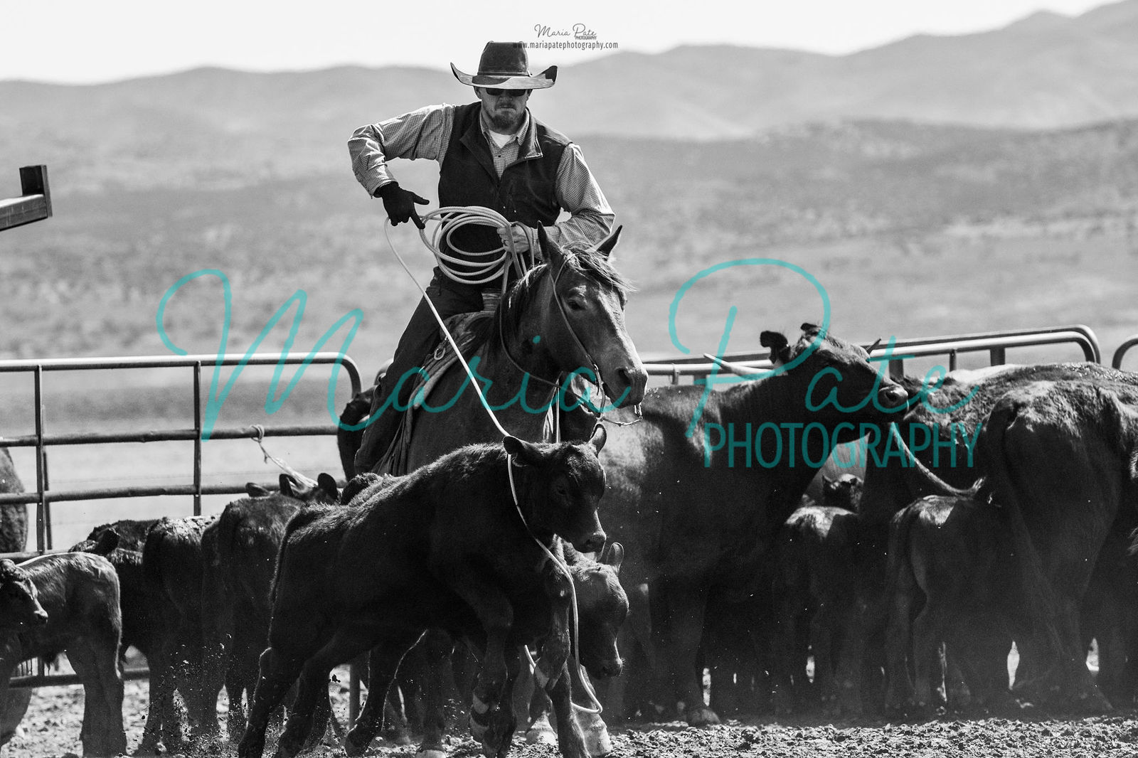 Clients - Maria Pate Photography