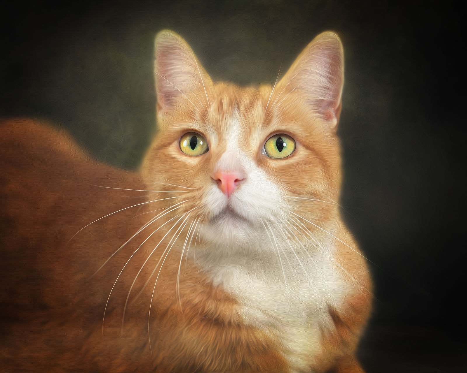 Animals & Pets by Love Your Smile Photography