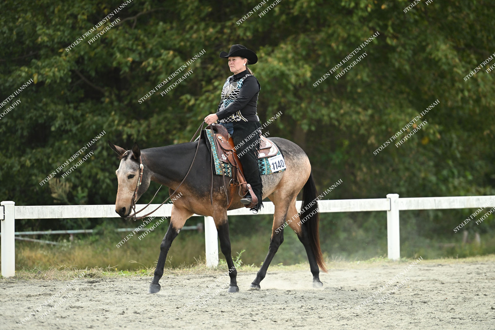 NC State Fair 2024: NASMDA Mules & Donkeys by Kirsten Hannah ...