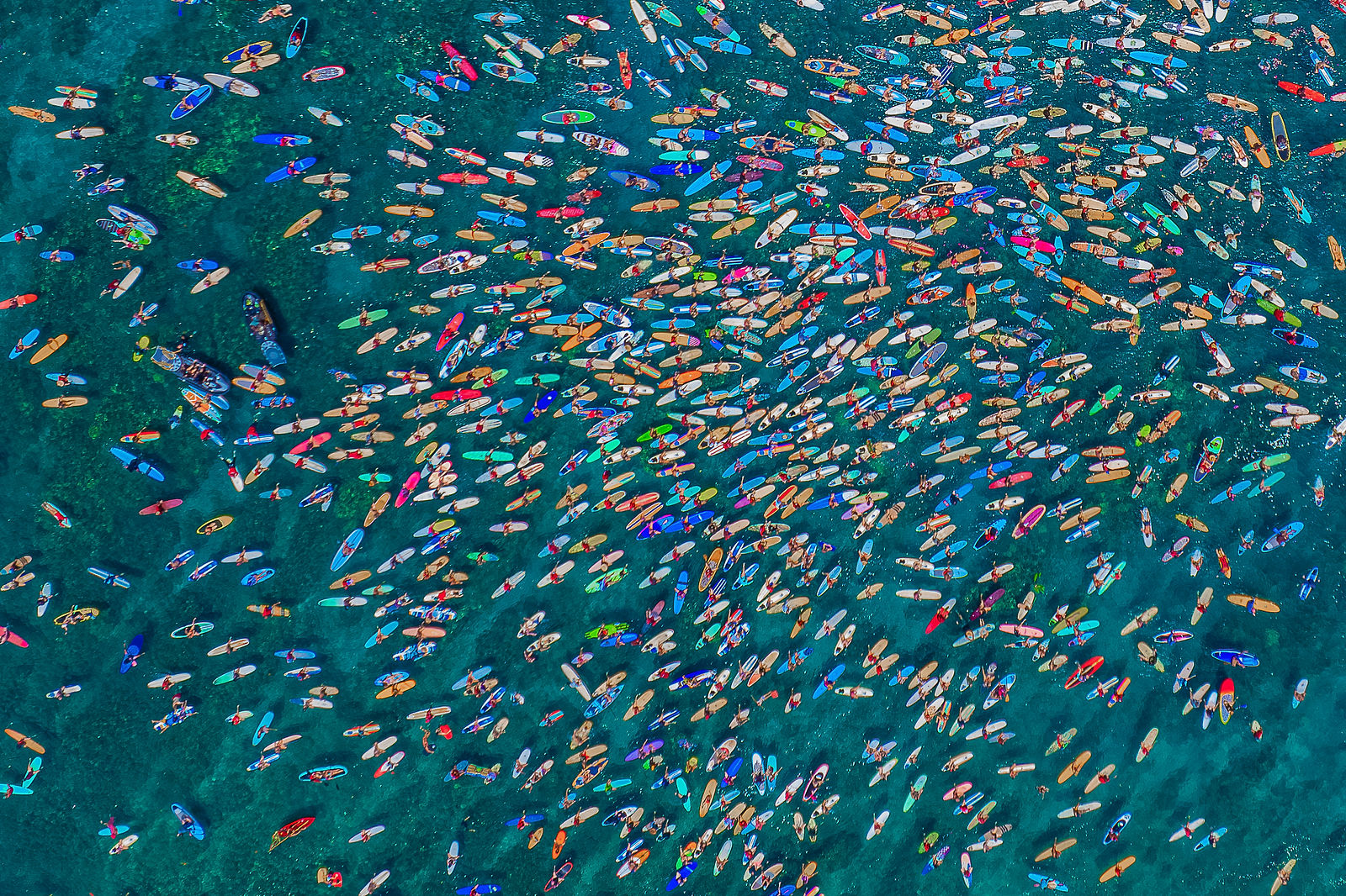 Lahaina Paddle Out Charity by Maui Light Works