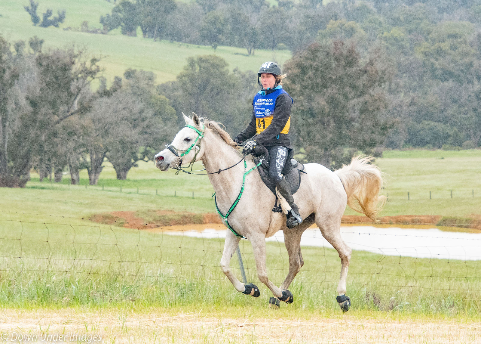 2022 Endurance Rides by Down Under Images
