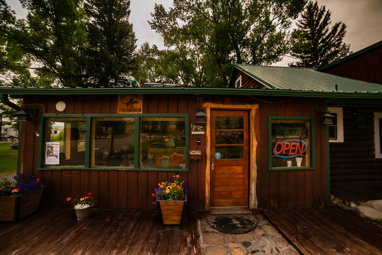 Print Store - Wild Lens