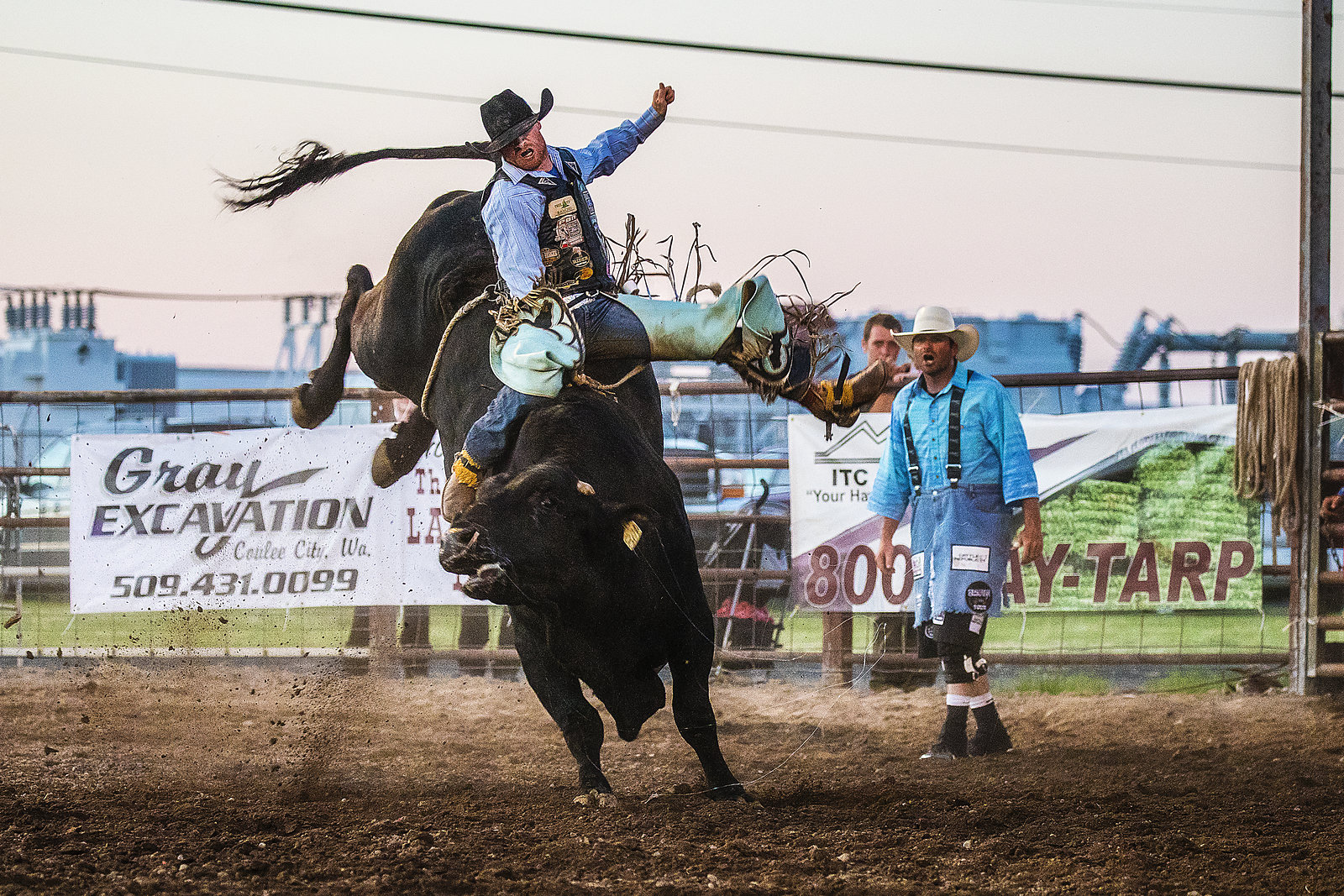 Cody Campbell - Bull-A-Rama Coulee City by Roseanna Sales Photography