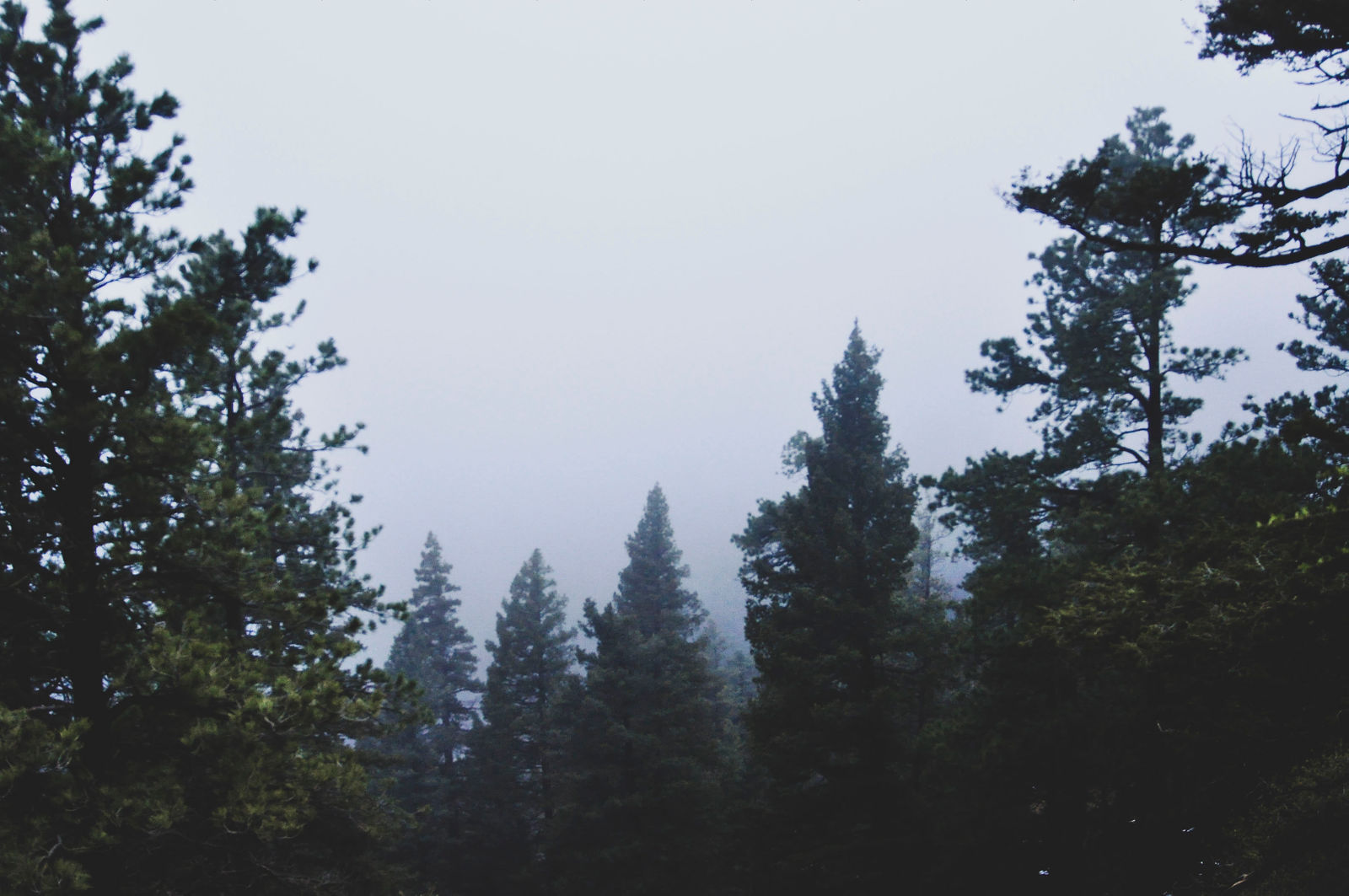 Print Store - Chanelle Stokes Photography + Design