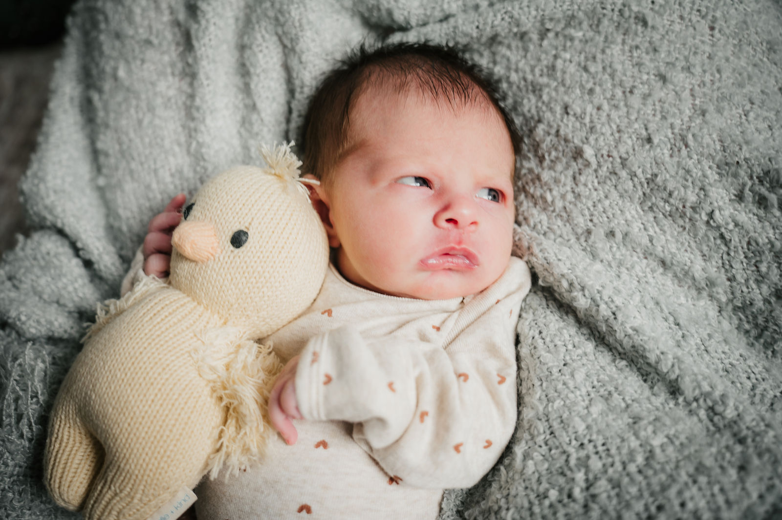 Olivia, Newborn Session by Shiny Penny Studios