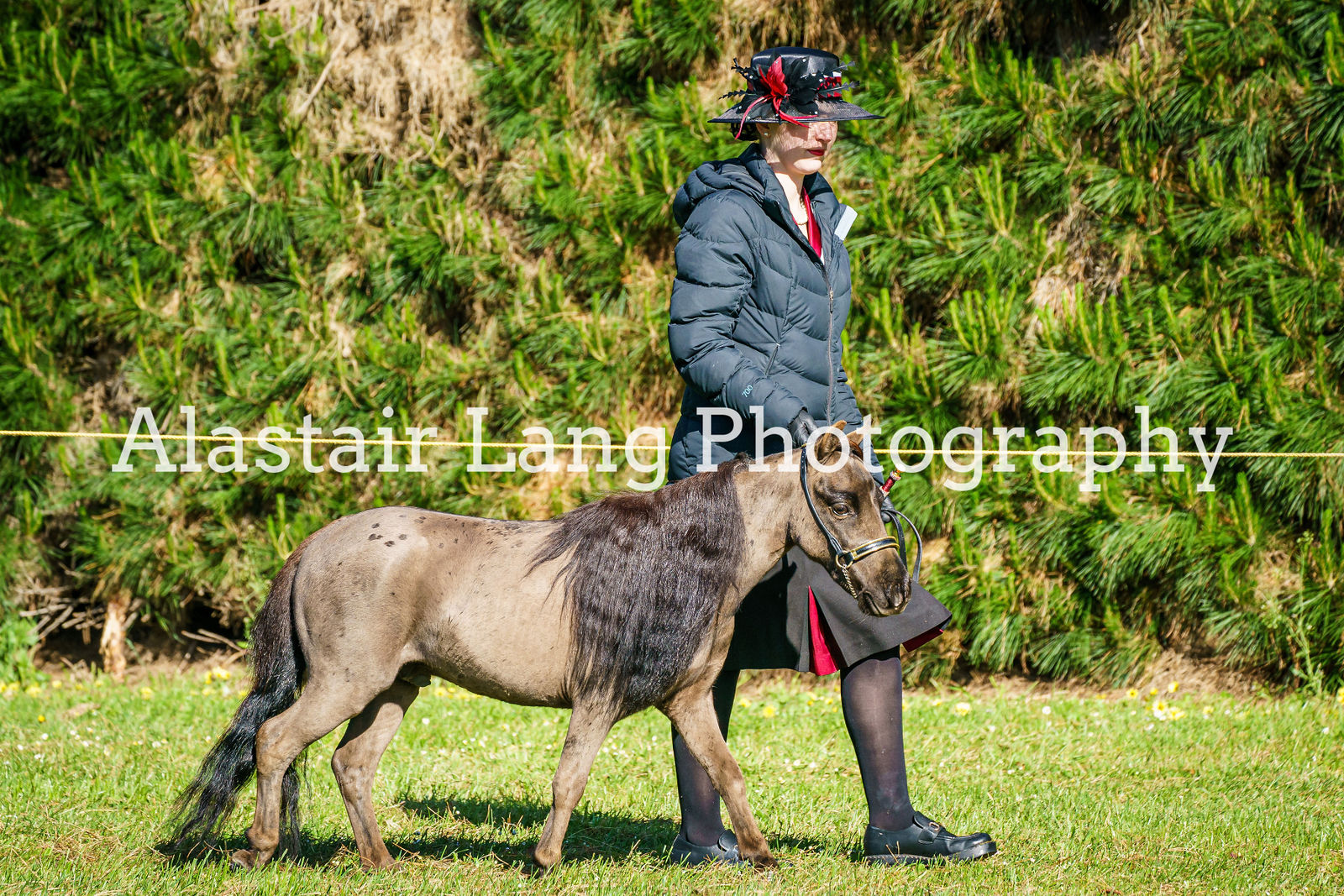 Amberley A+P 2023 by Alastair Lang Photography