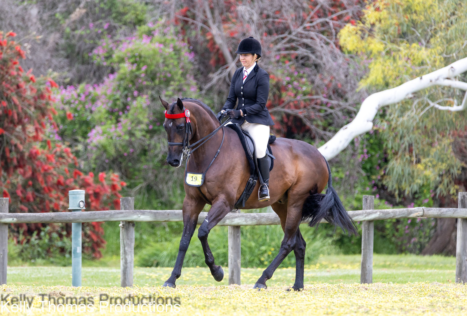 Perth HPC Spring Flowers Championship by Kelly Thomas Productions