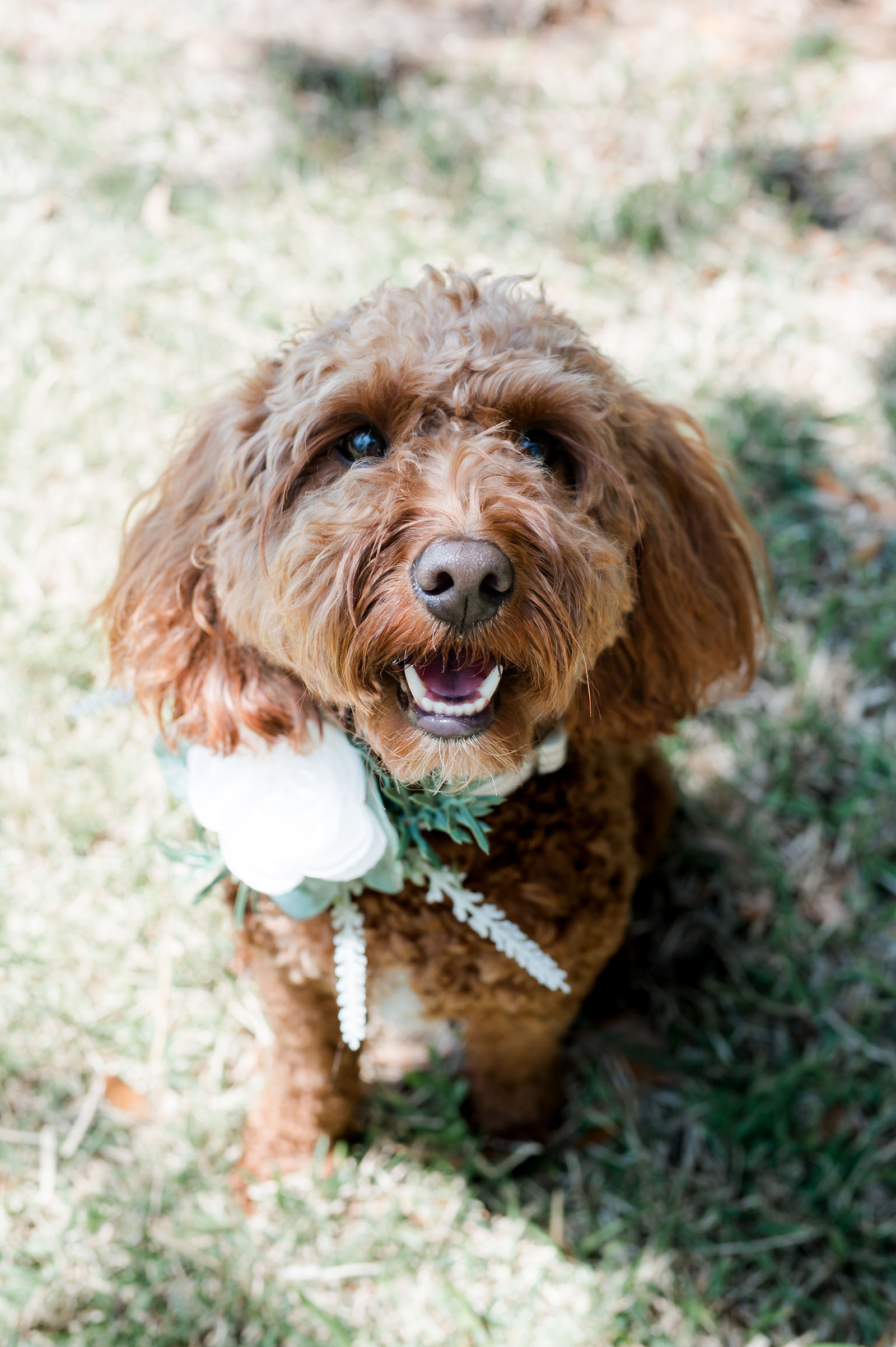 Vendors | Whitney & Cole May 4th, 2025 by Leigh Hayward Photography