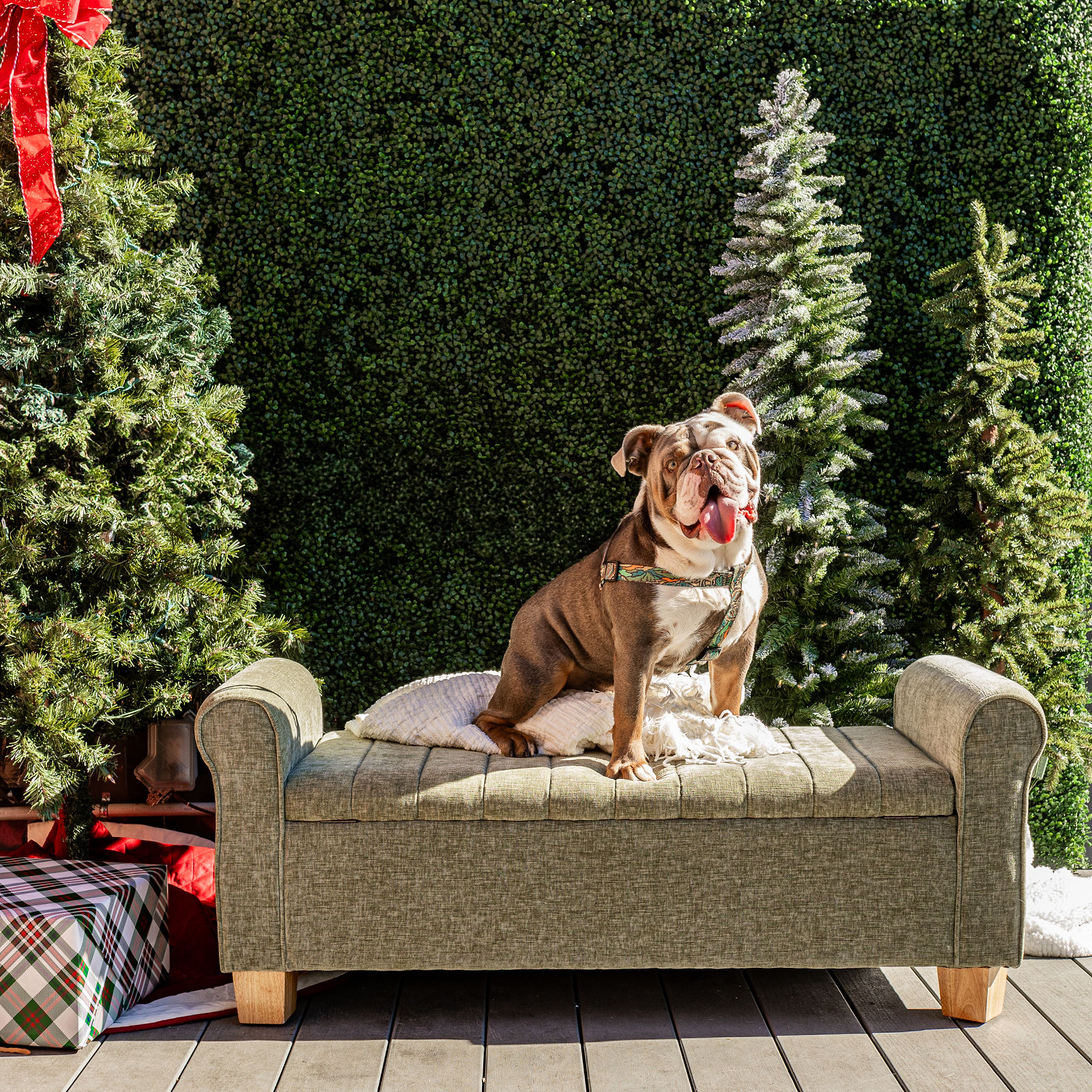 Magen Kelly by Gibbs You More Photography