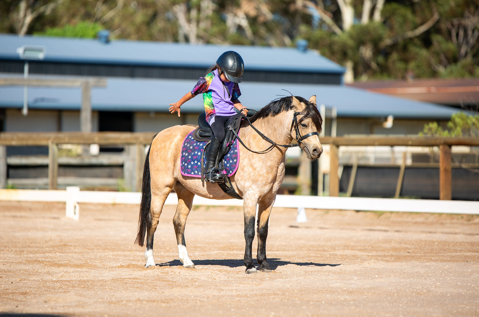 K&K Equine Autum Protocol- Event 2 by Kelly Thomas Productions