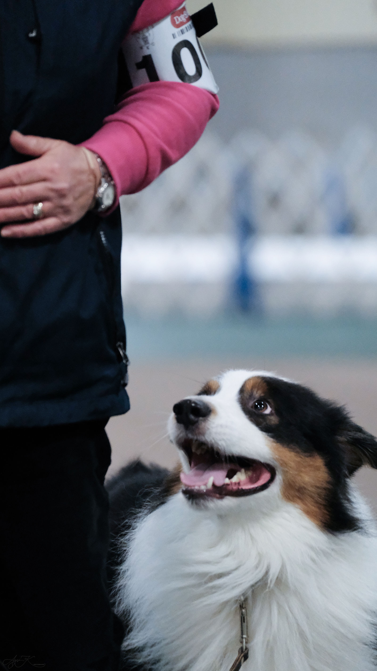 NKC Rally and Obedience Trial by Ayri K Photography