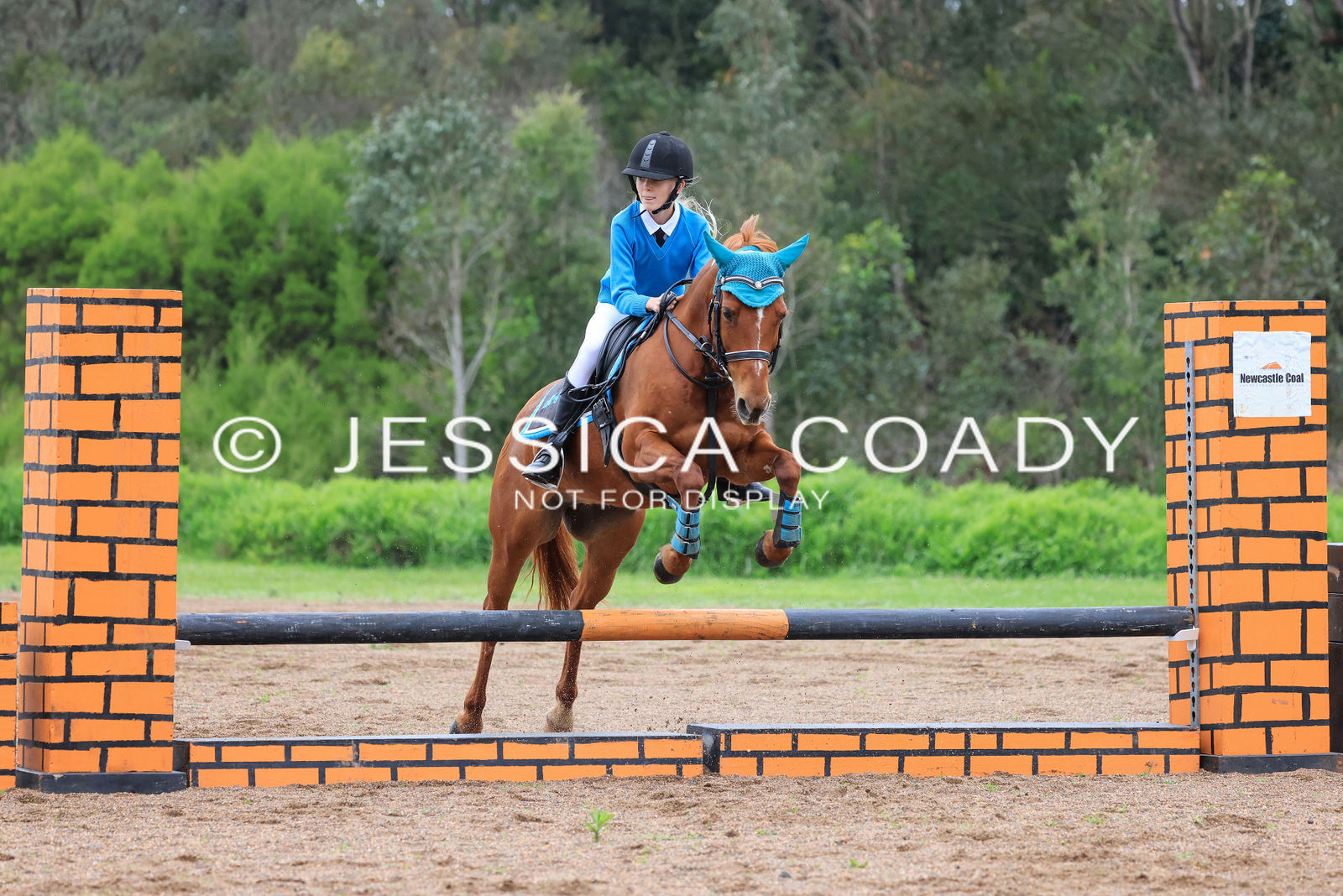 2024 - Zone 25 Jamboree D Grade Jumping by Jessica Coady Photography