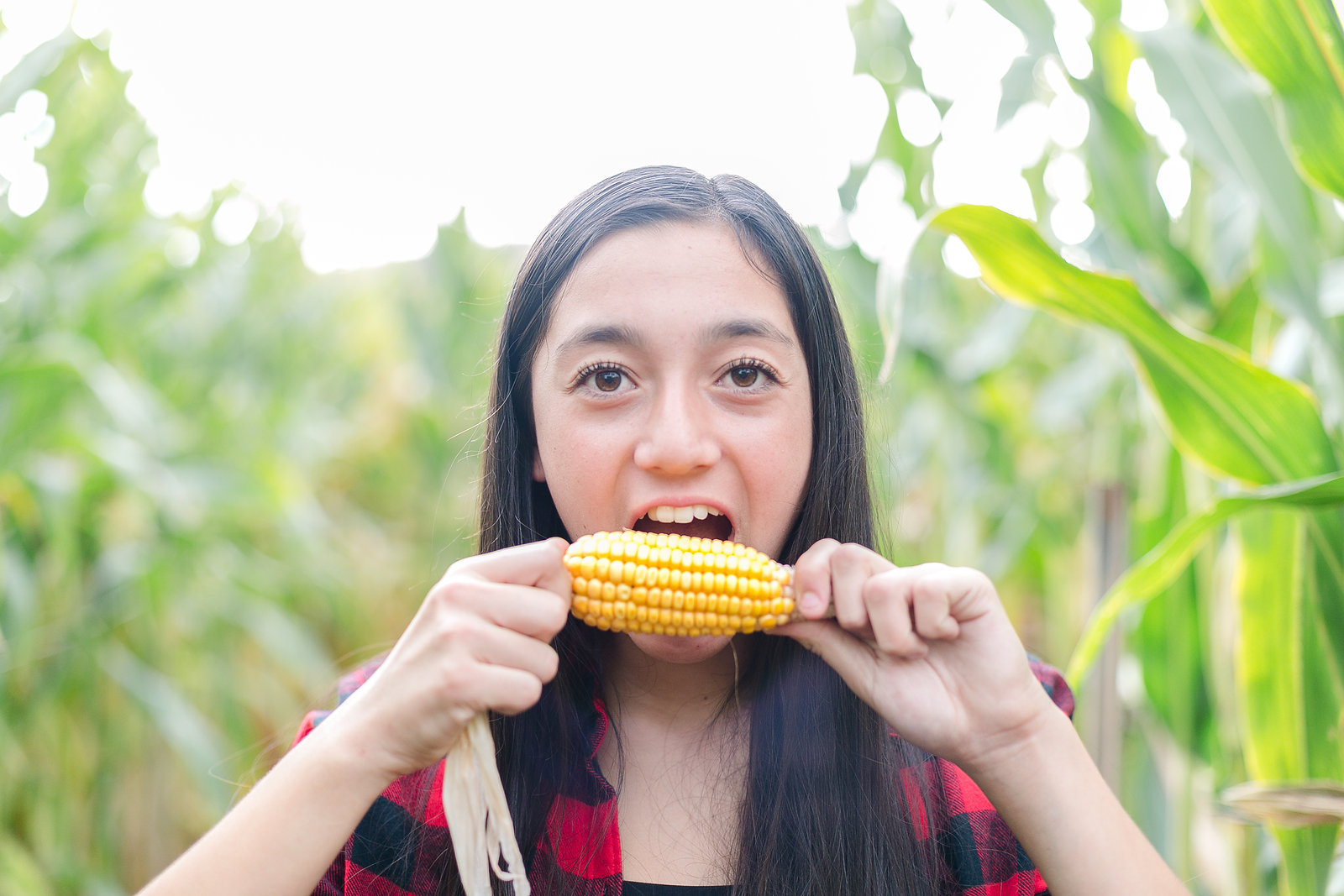 Redondo Family Pumpkin Patch by Staci Stack Photography