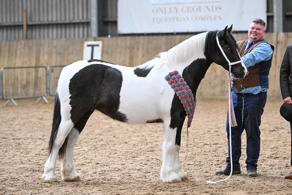 Towerlands Welsh & Open Show 2024 by EquinePix Photography