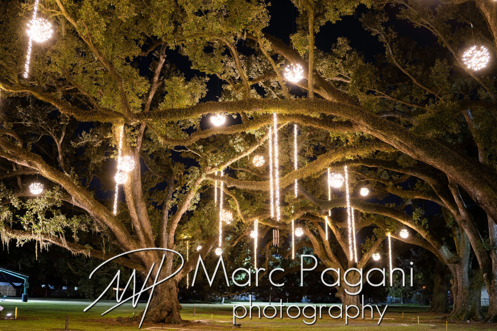 Waggaman Christmas Lights 2023 by Marc Pagani Photography