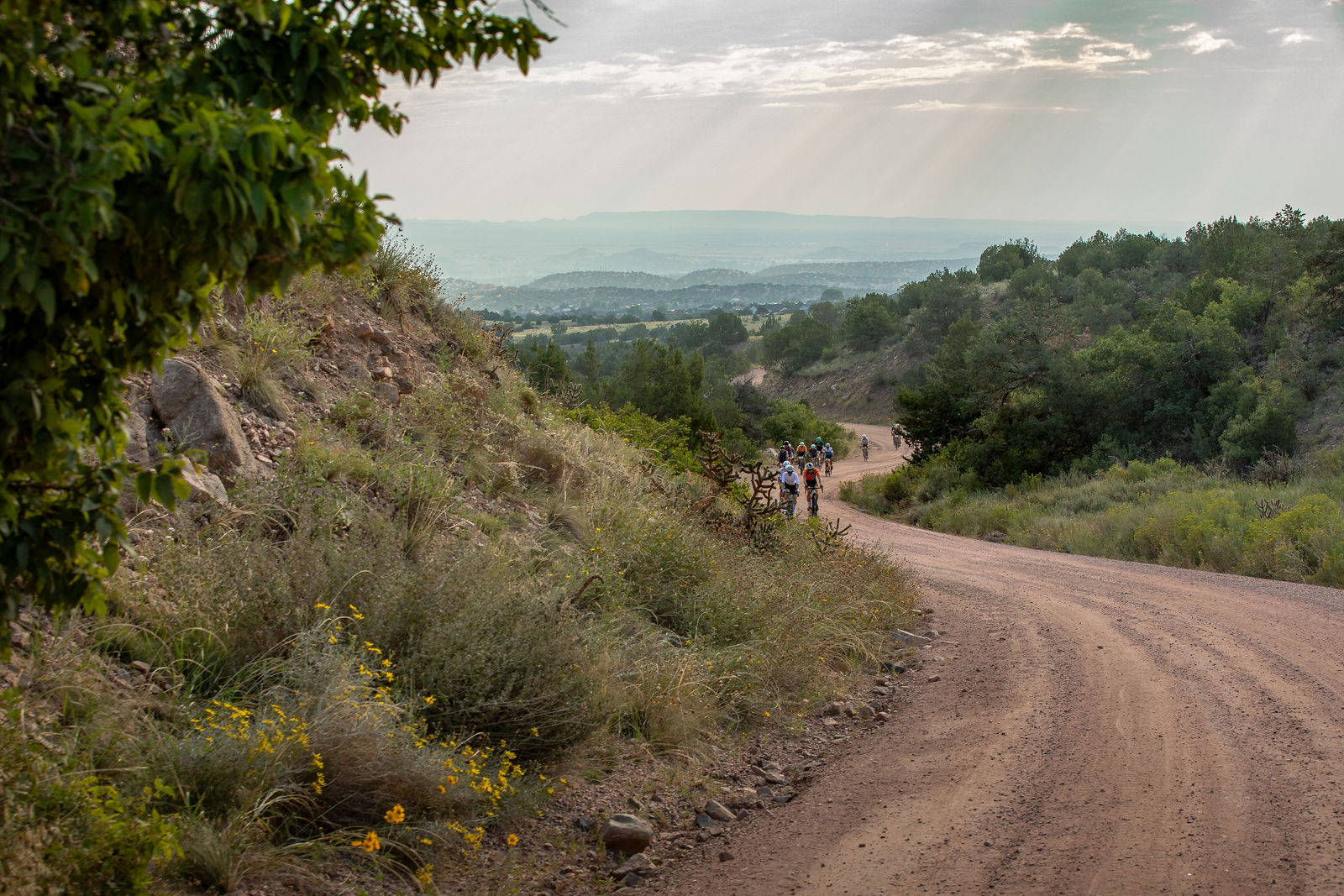 The Crippler 2025 by Phillip McInturff Photography