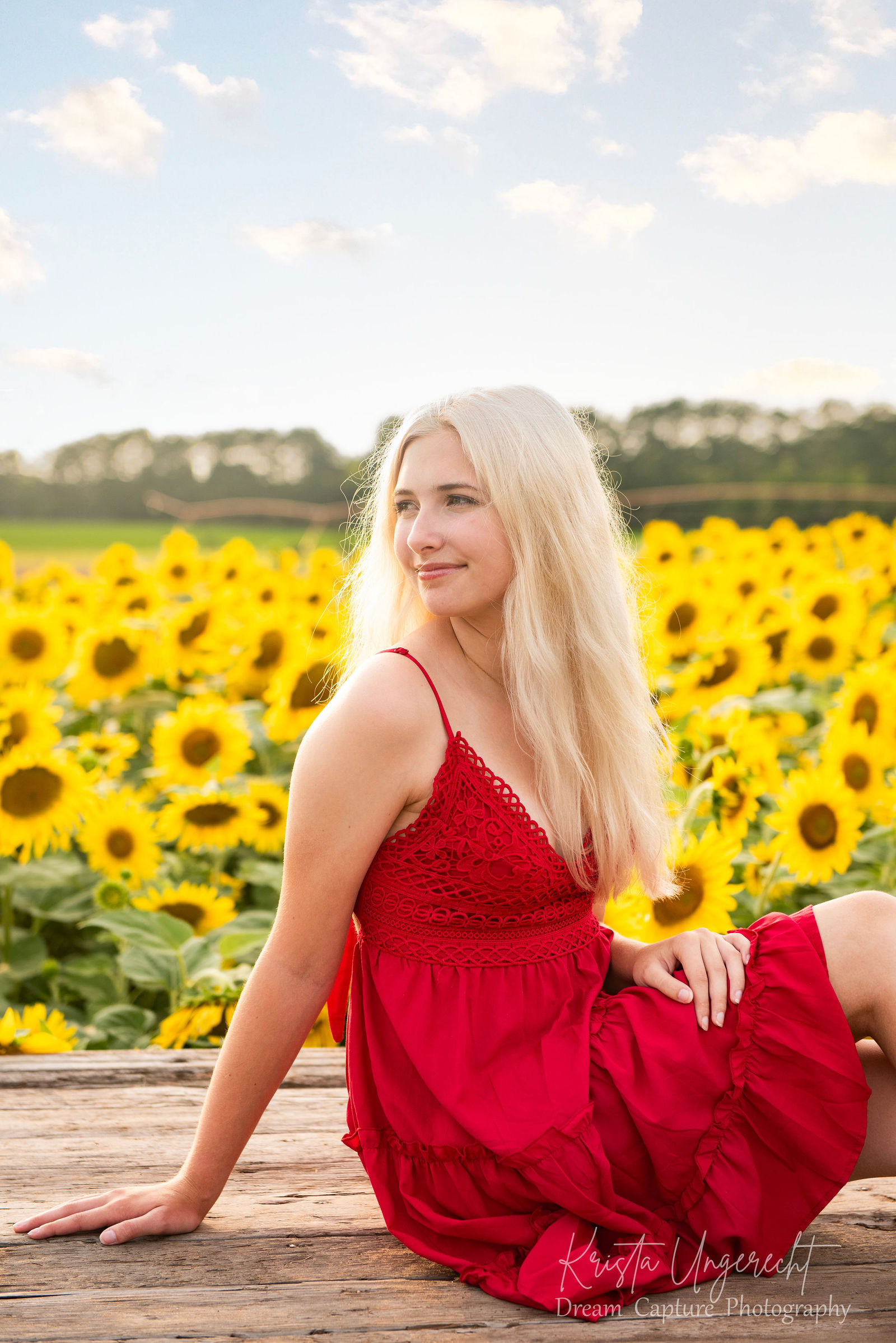 Sunflower2023-Crystalyn Morton by Dream Capture Photography by Krista ...