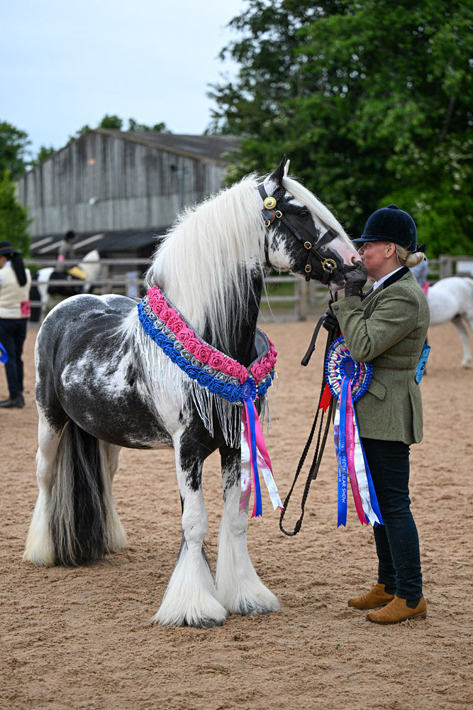 Bucks Counties Spring Spectacular Show 2025 by EquinePix Photography