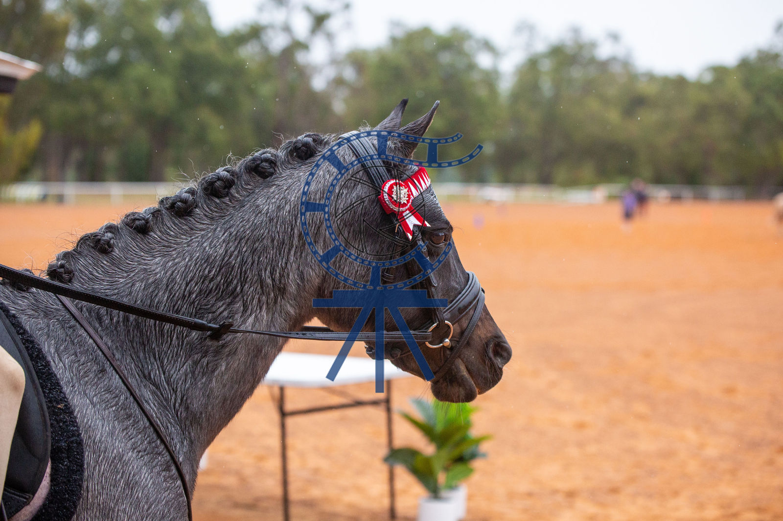 K & K Equine Ridden Expo by Kelly Thomas Productions