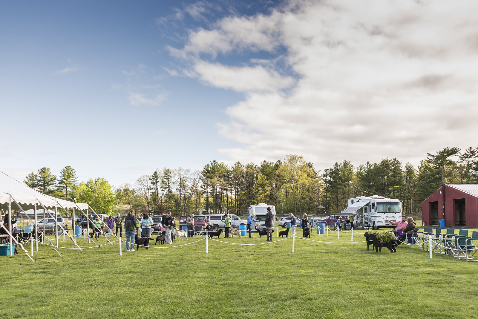 The Labrador Club of Pioneer Valley 2017 by Edgemere Labradors and ...