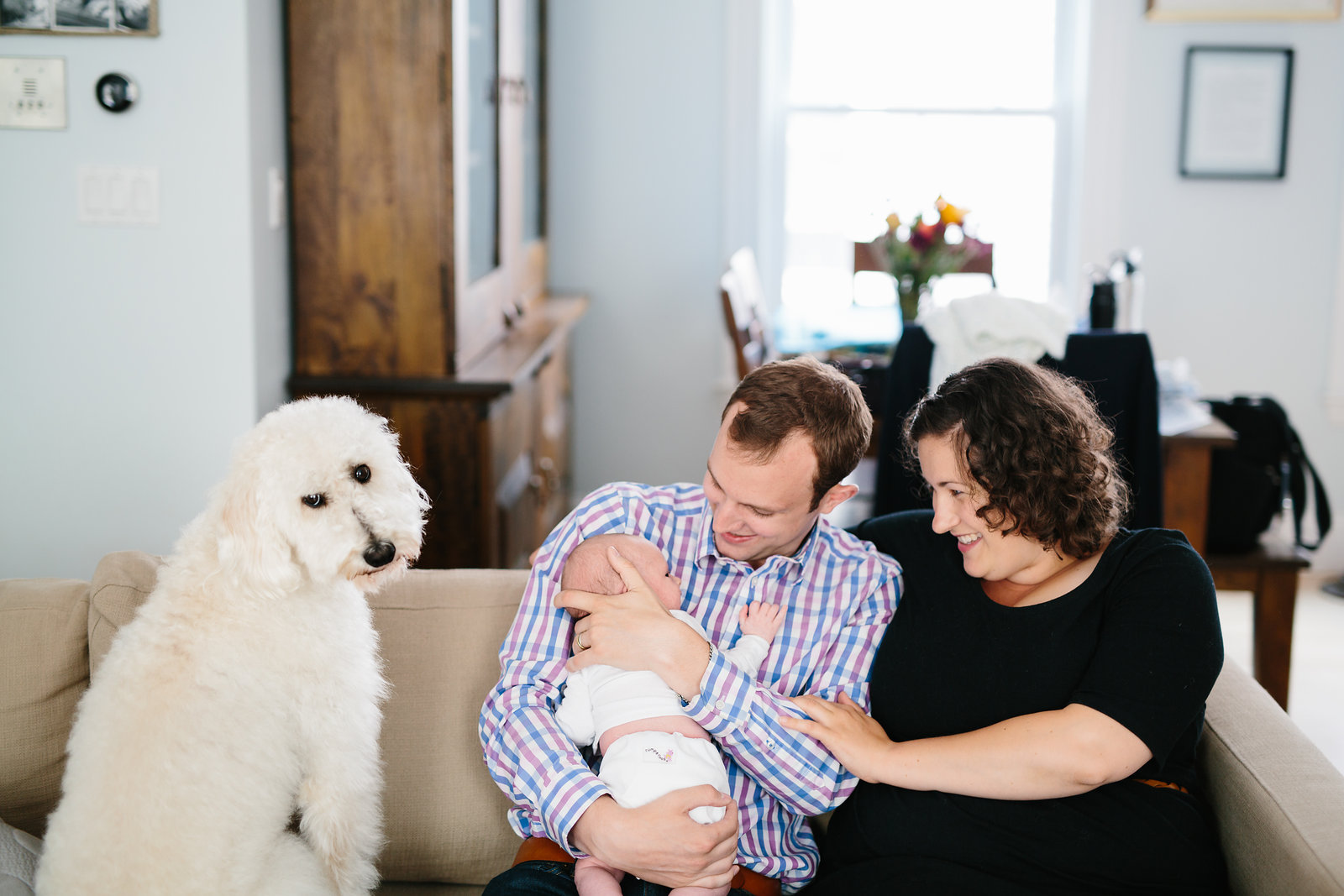 Oliver by Lindsey Ocker