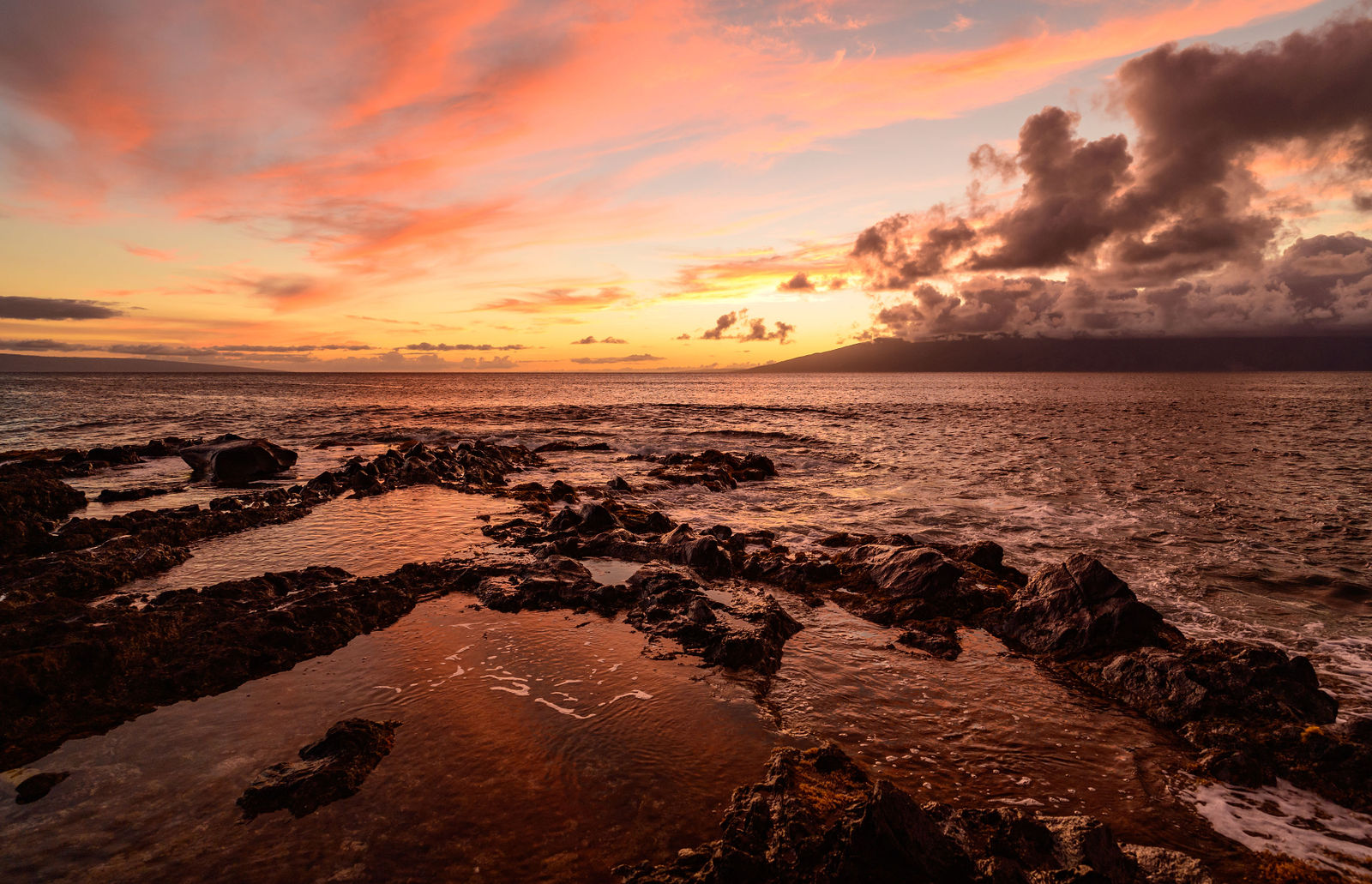 Trillium Prints by Trillium Photography Group