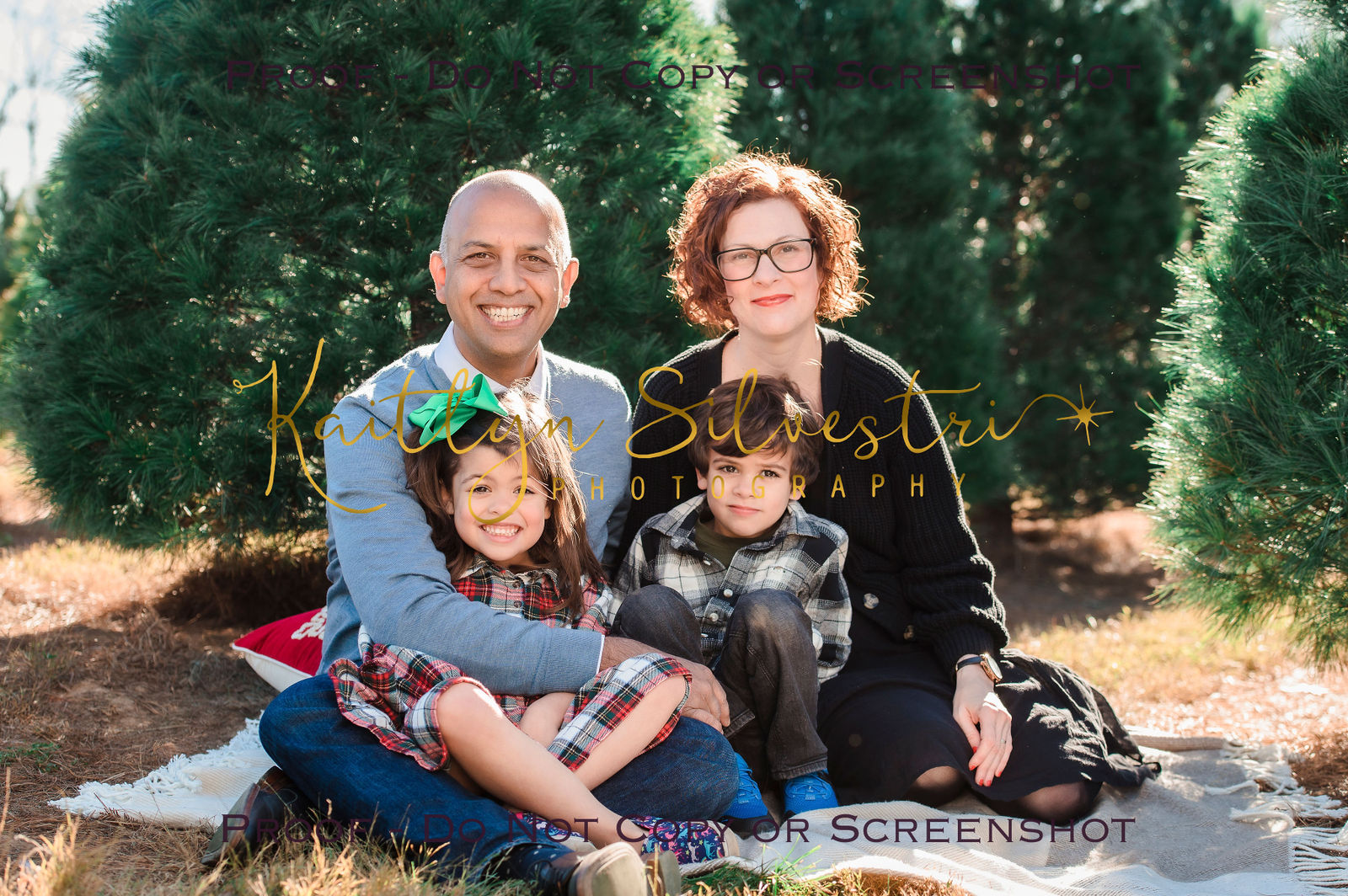 Clark | Tree Farm | 2022 by Kaitlyn Silvestri Photography