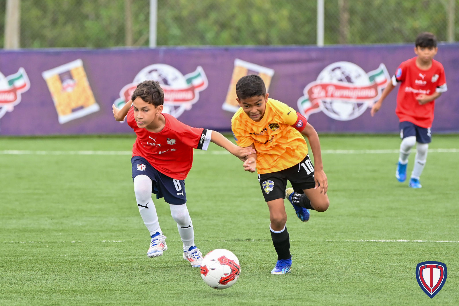 JORNADA 5 | U10 | CTK | 2024 de ATEVO Sports