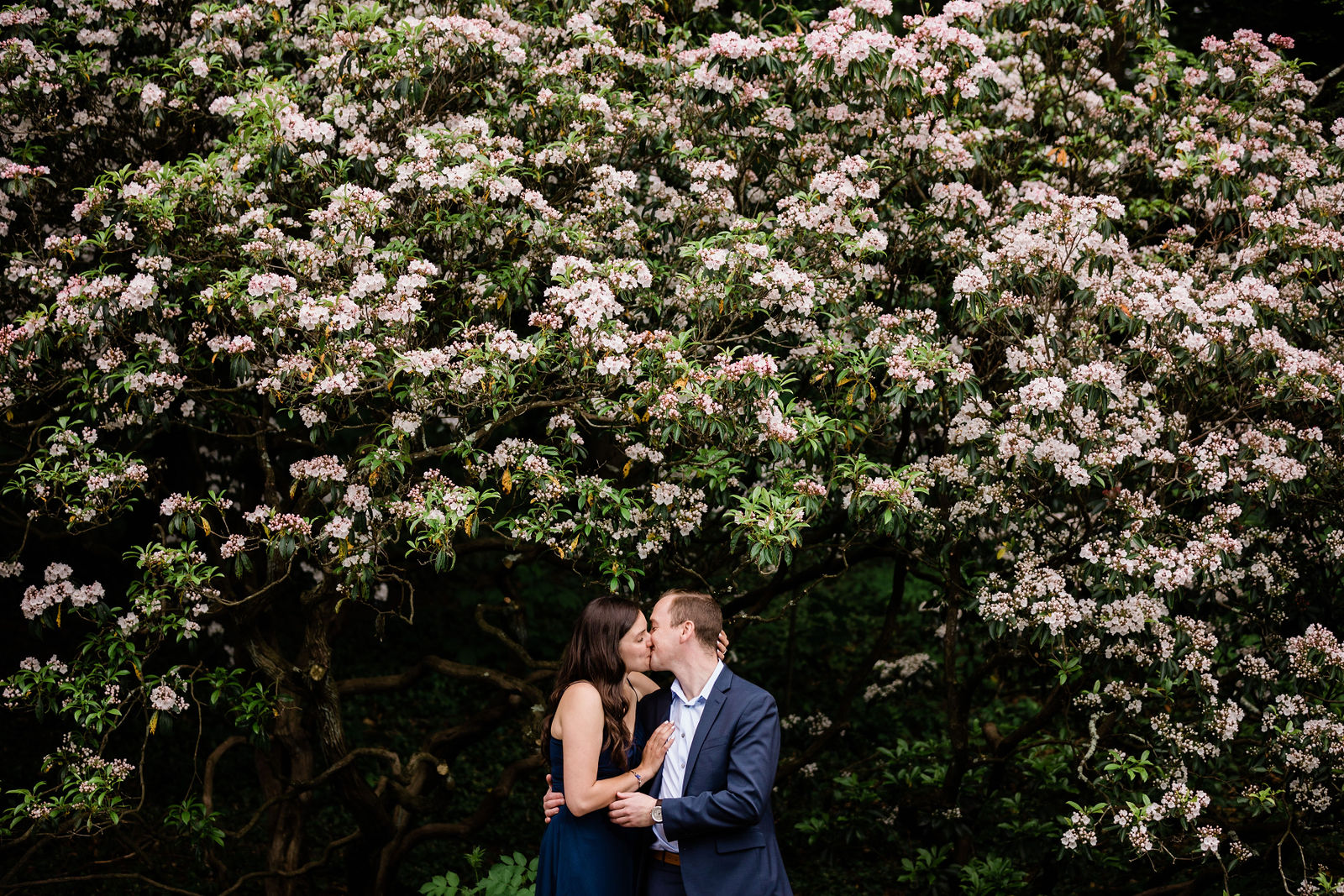 Leigh + Christopher by Anthony Niccoli Photography