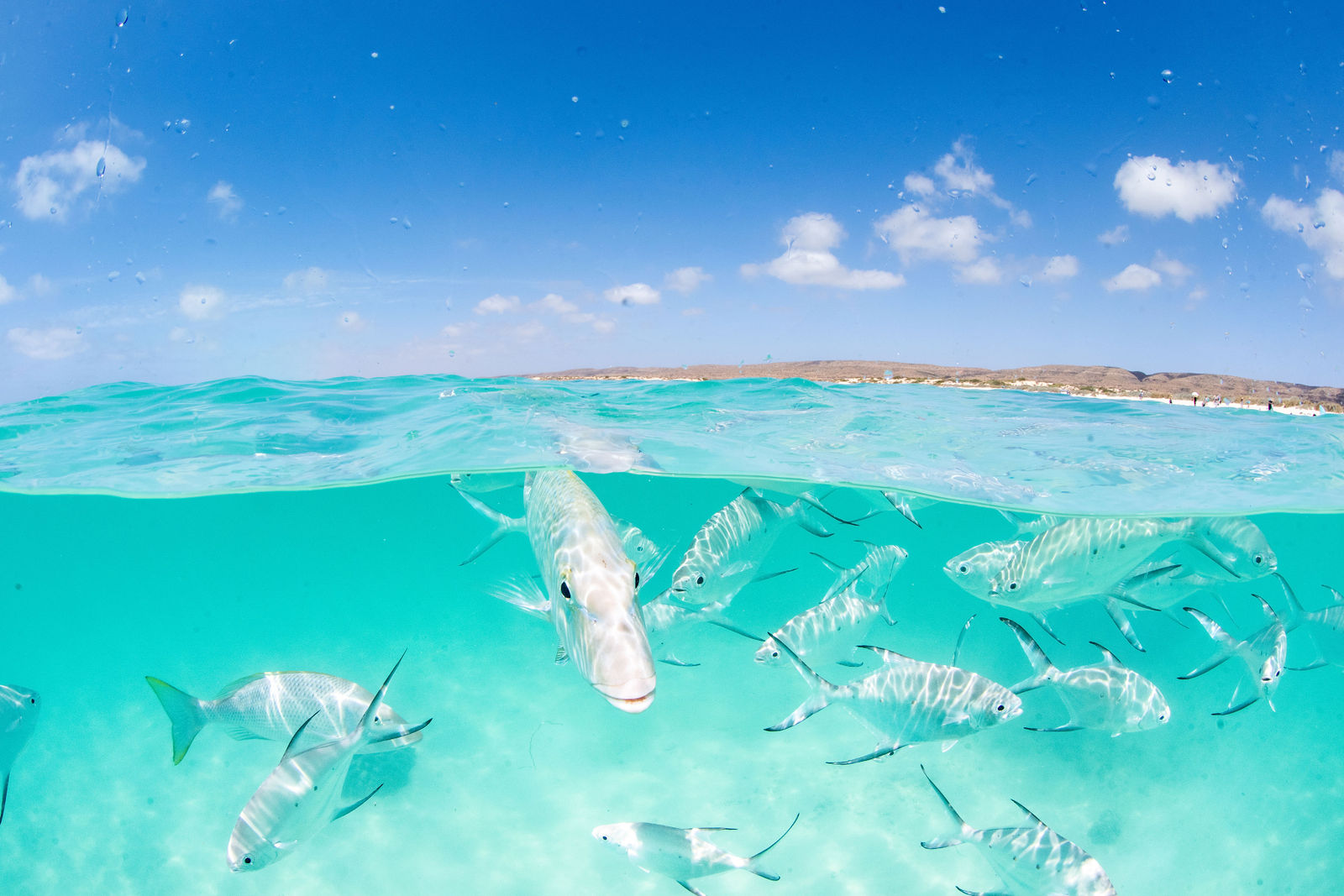 wall art for 26 Gnulli by Blue Media Exmouth