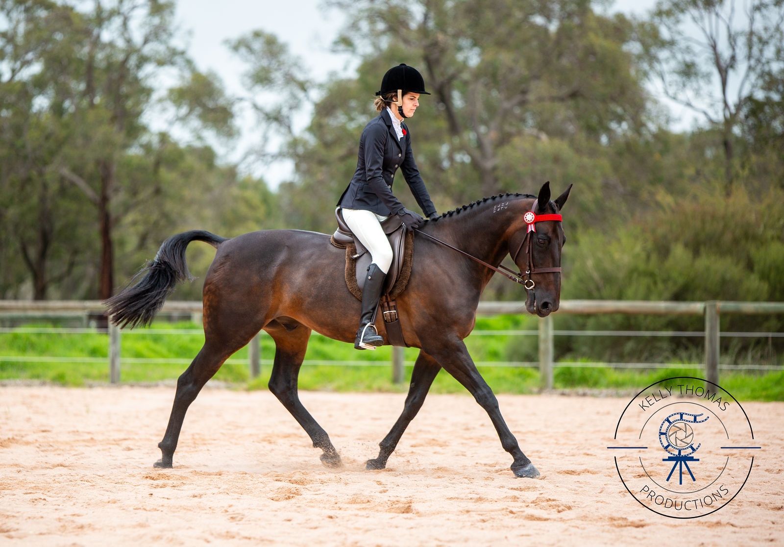 Murray Matchy Encouragement Show by Kelly Thomas Productions