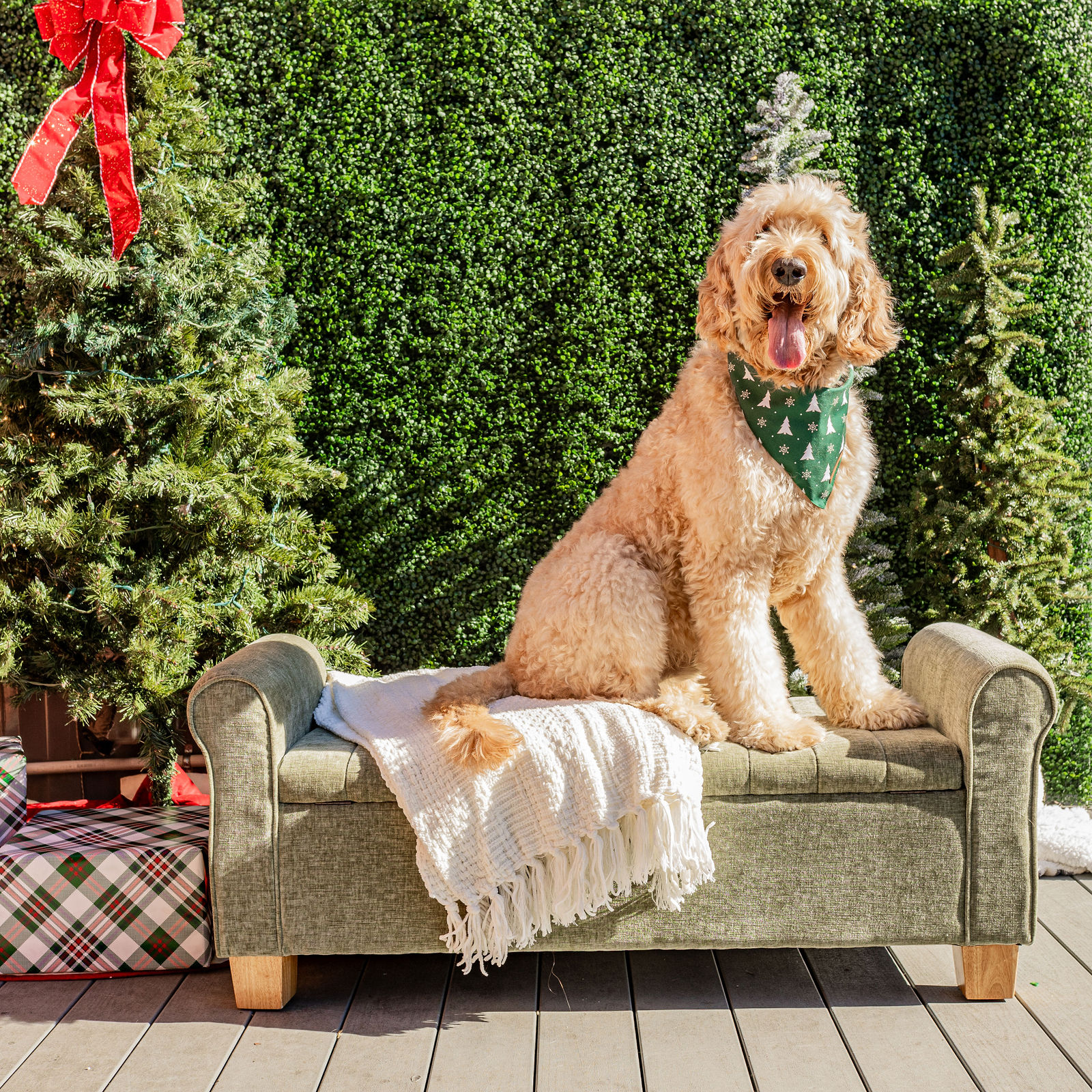 Stacy Higdon by Gibbs You More Photography