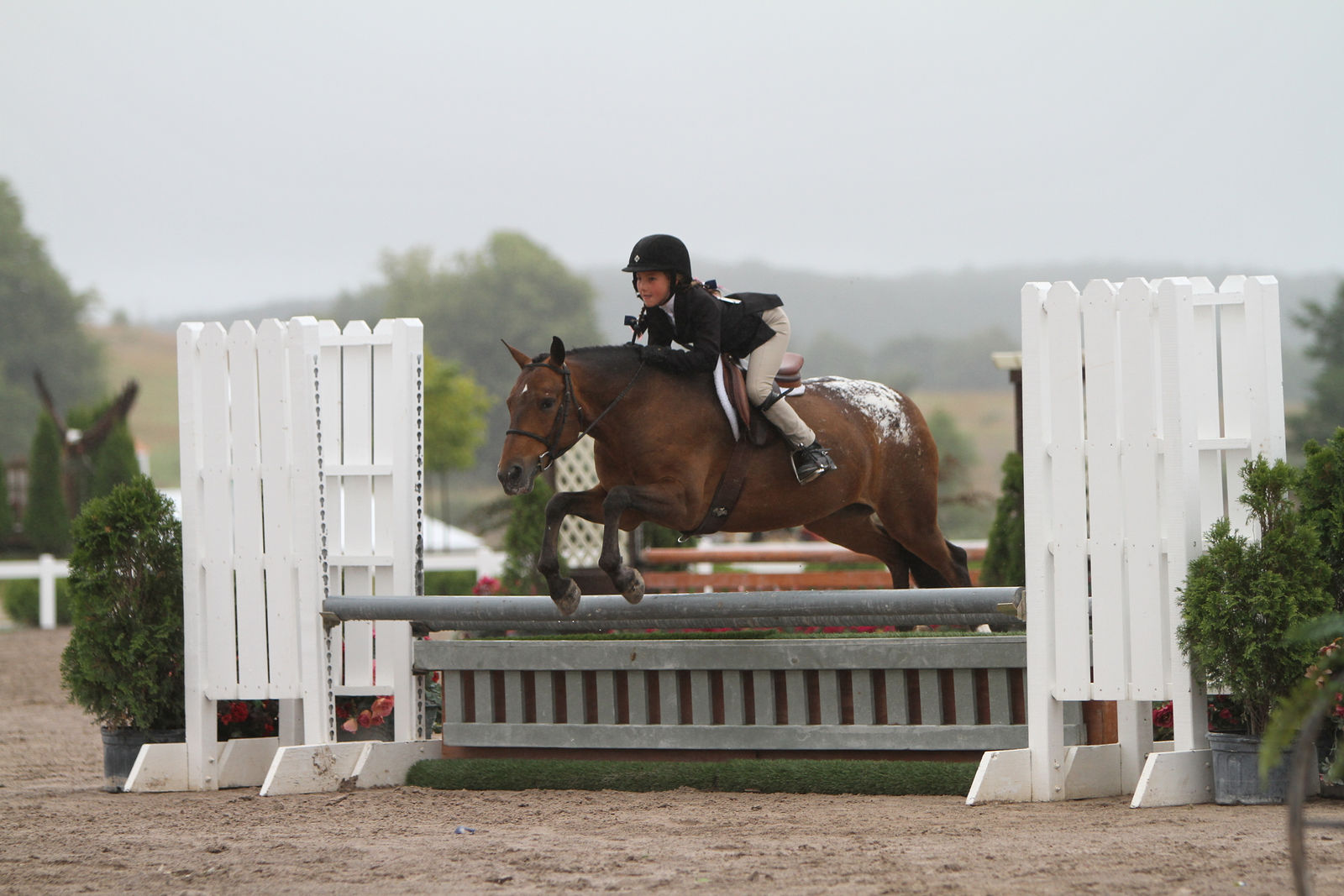 REQUESTS by Diana Hadsall Photography