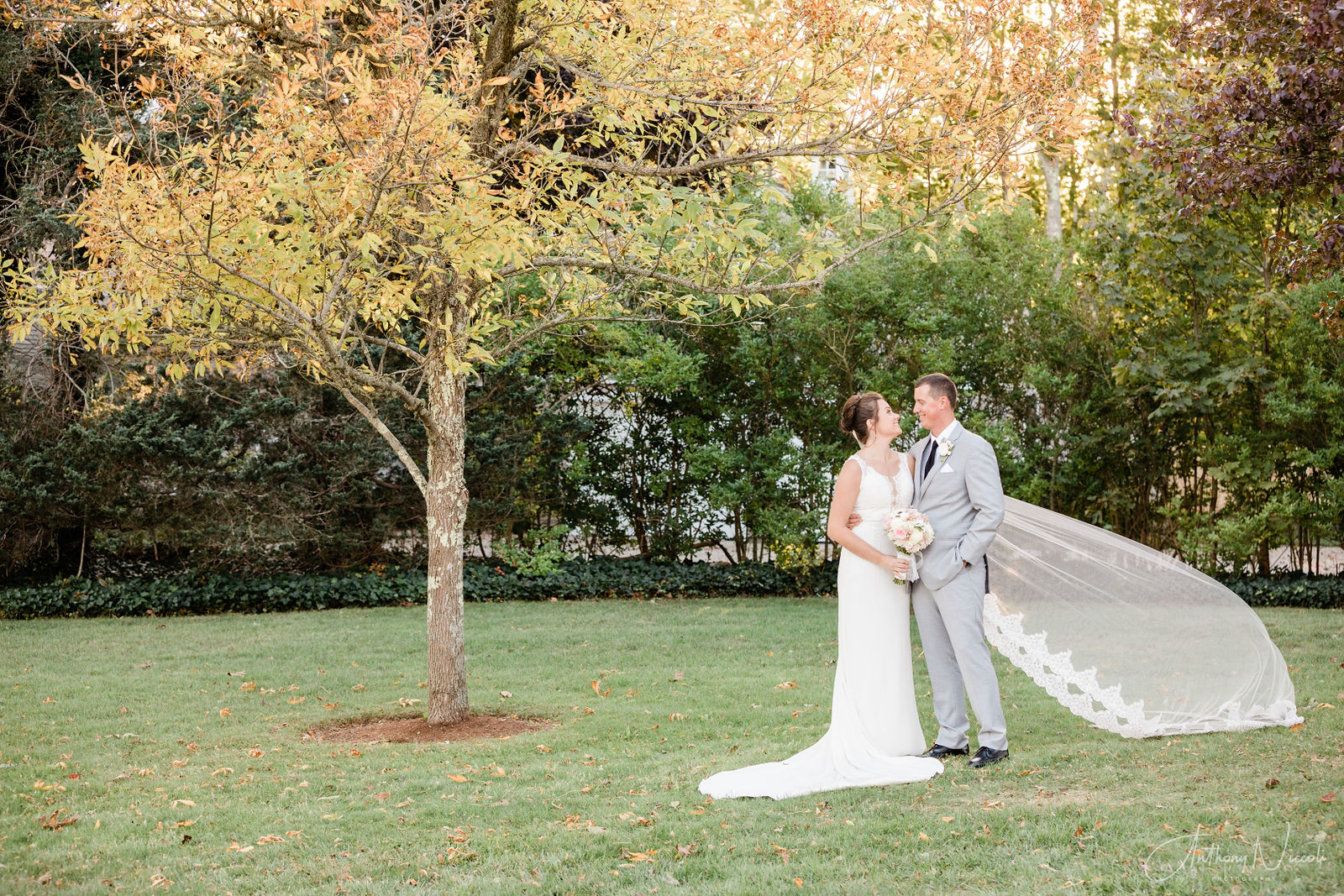 Sarah + Cameron Northrop by Anthony Niccoli Photography