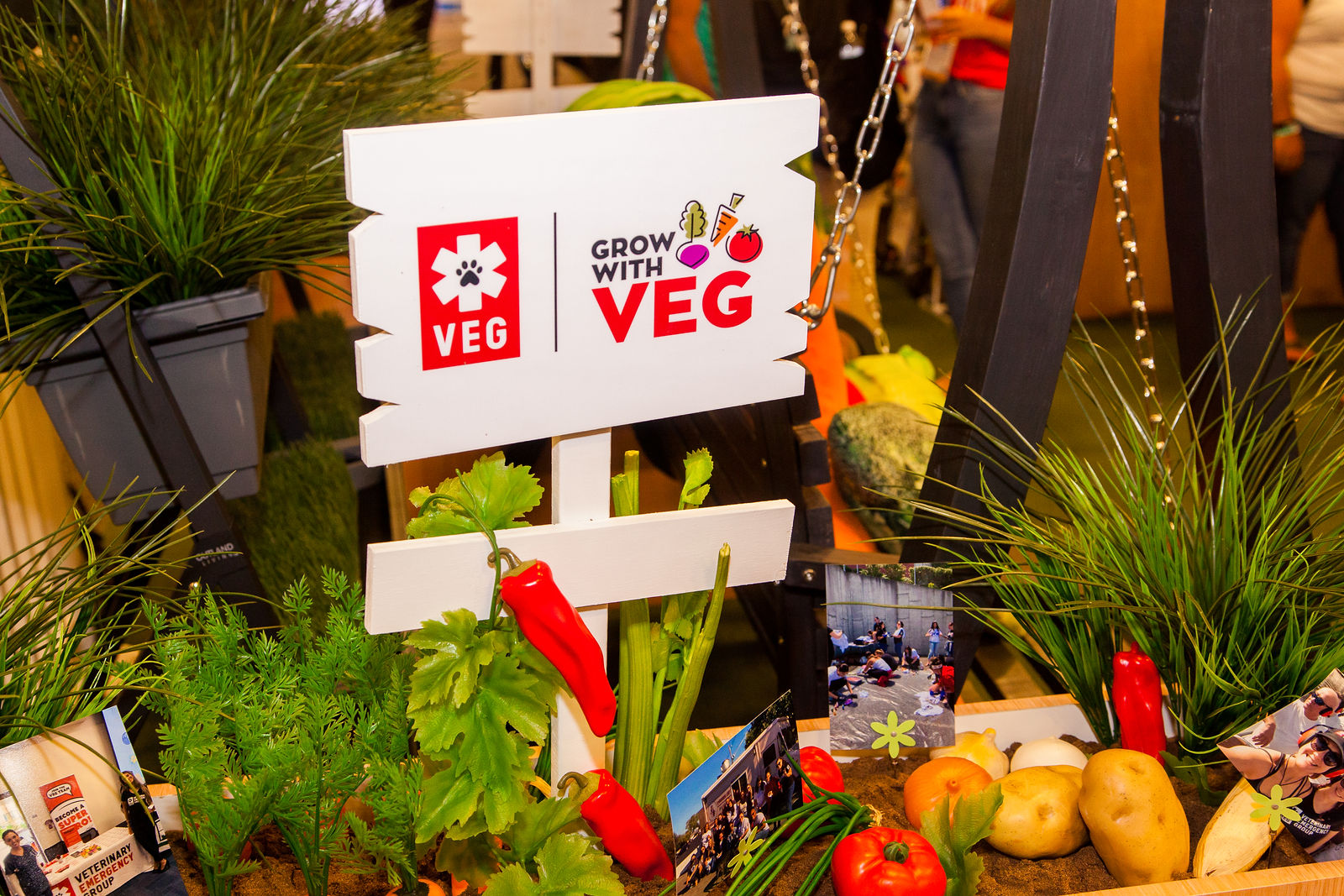 VEG Photo Gallery by DreamCrew Productions