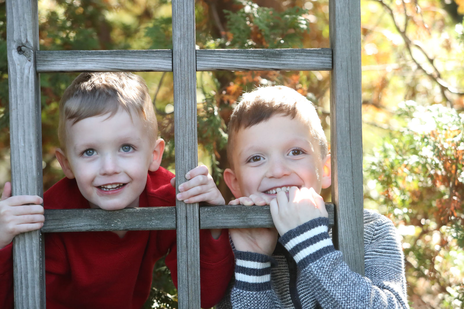 Riddle Family by Strauss Studios