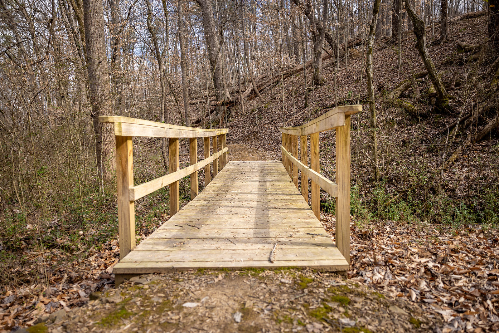 Aspire Trails - To-Hi by Todd Temple Photography